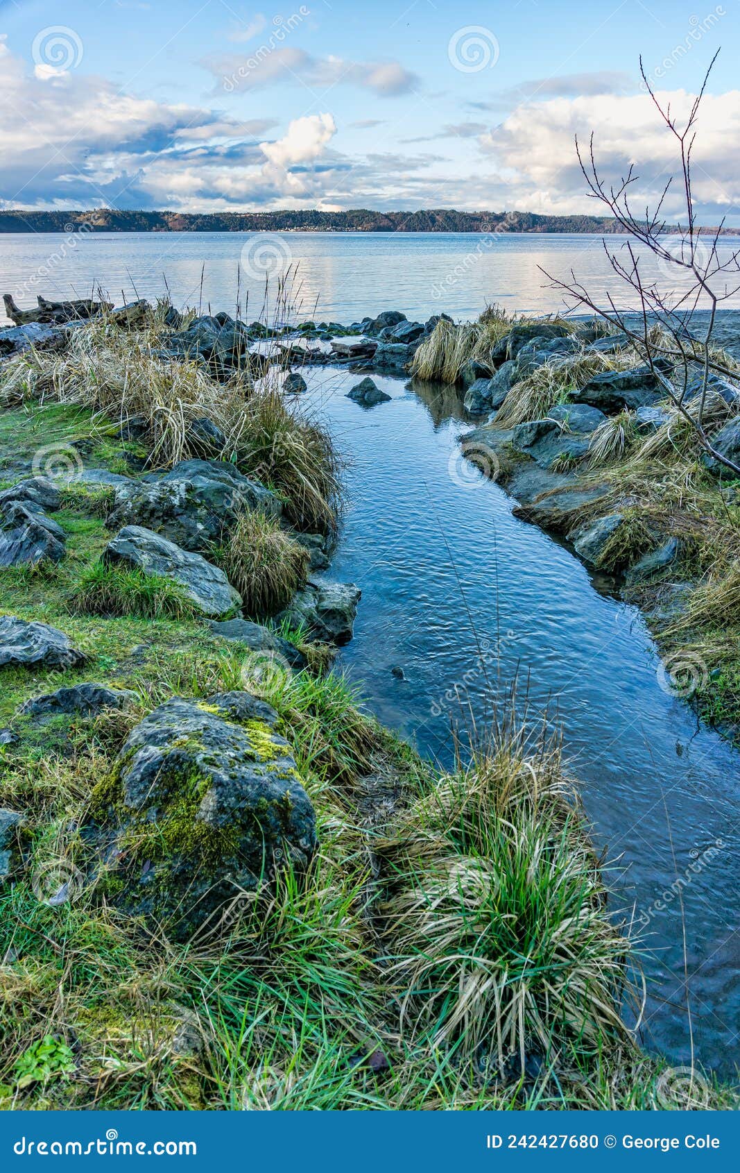 Stream Ocean Landscape 2 stock photo. Image of flowing - 242427680