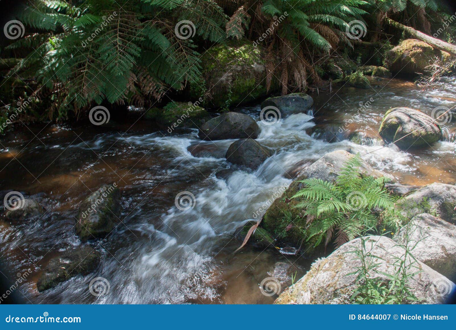 Stream over rocks stock image. Image of calm, australian - 84644007
