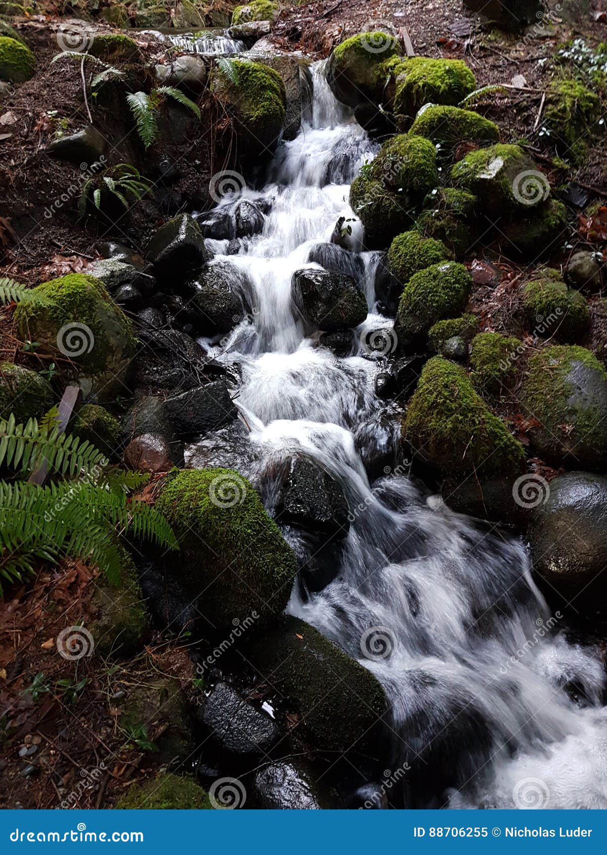 Stream over rocks stock image. Image of runs, rocks, canadian - 88706255