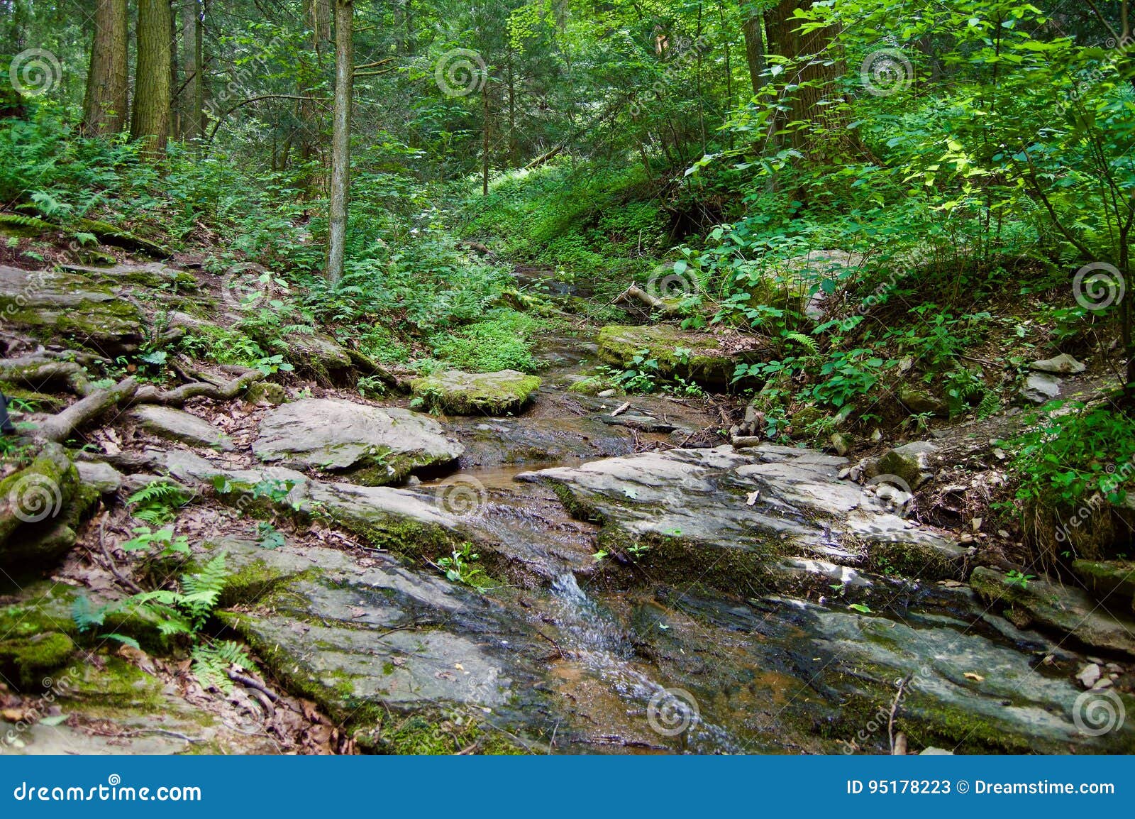 Stream over Rocks stock image. Image of stream, rocks - 95178223