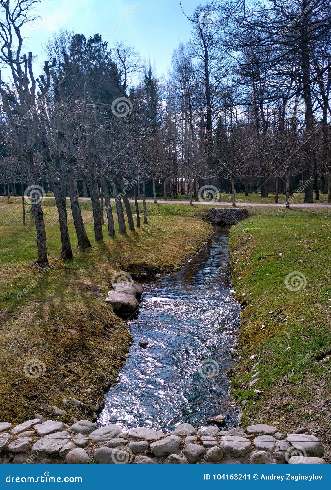 Stream in the park. stock image. Image of park, transparent - 104163241