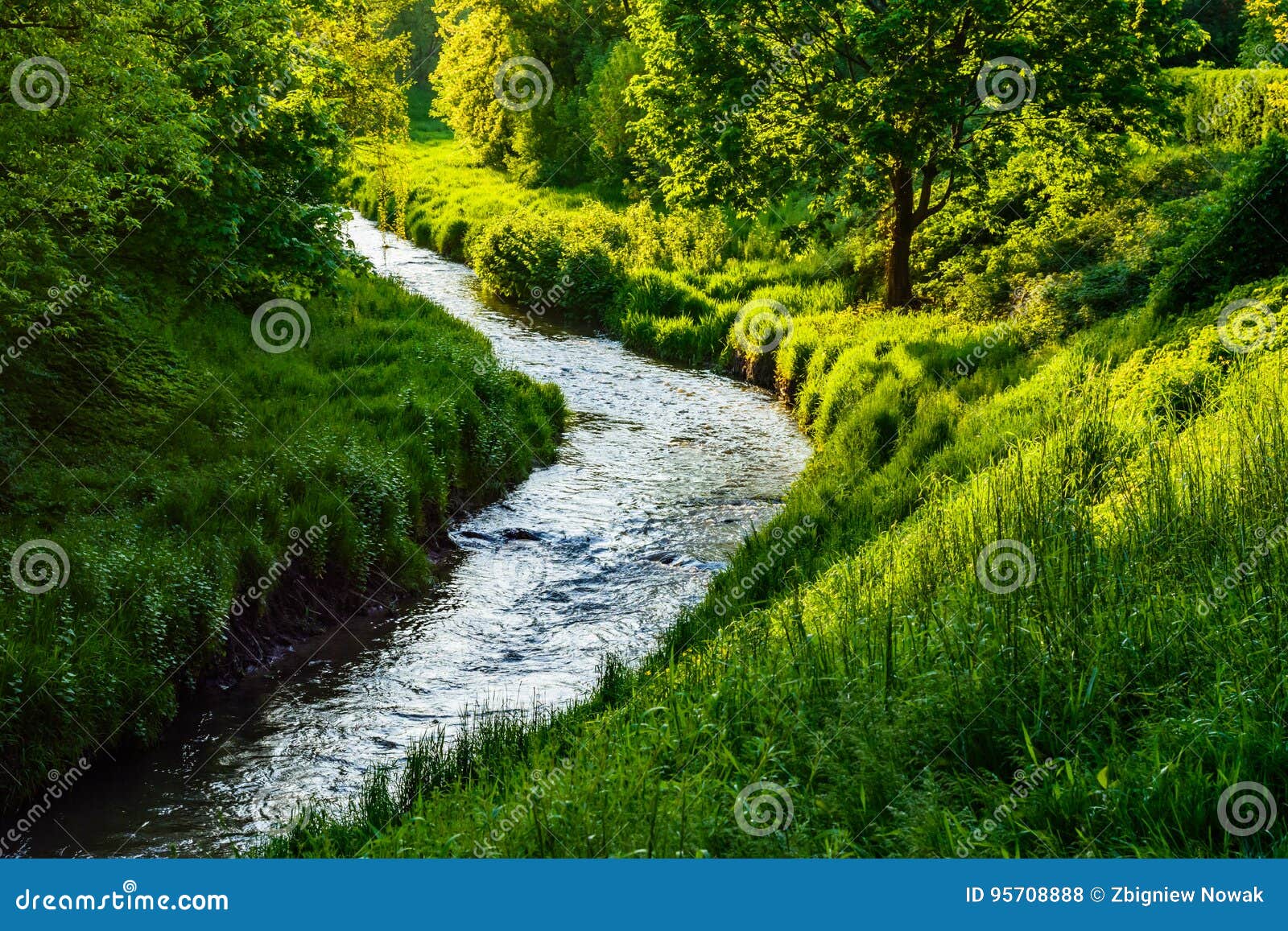 A Stream in a Park at Sunset. Stock Photo - Image of beautiful, travel ...