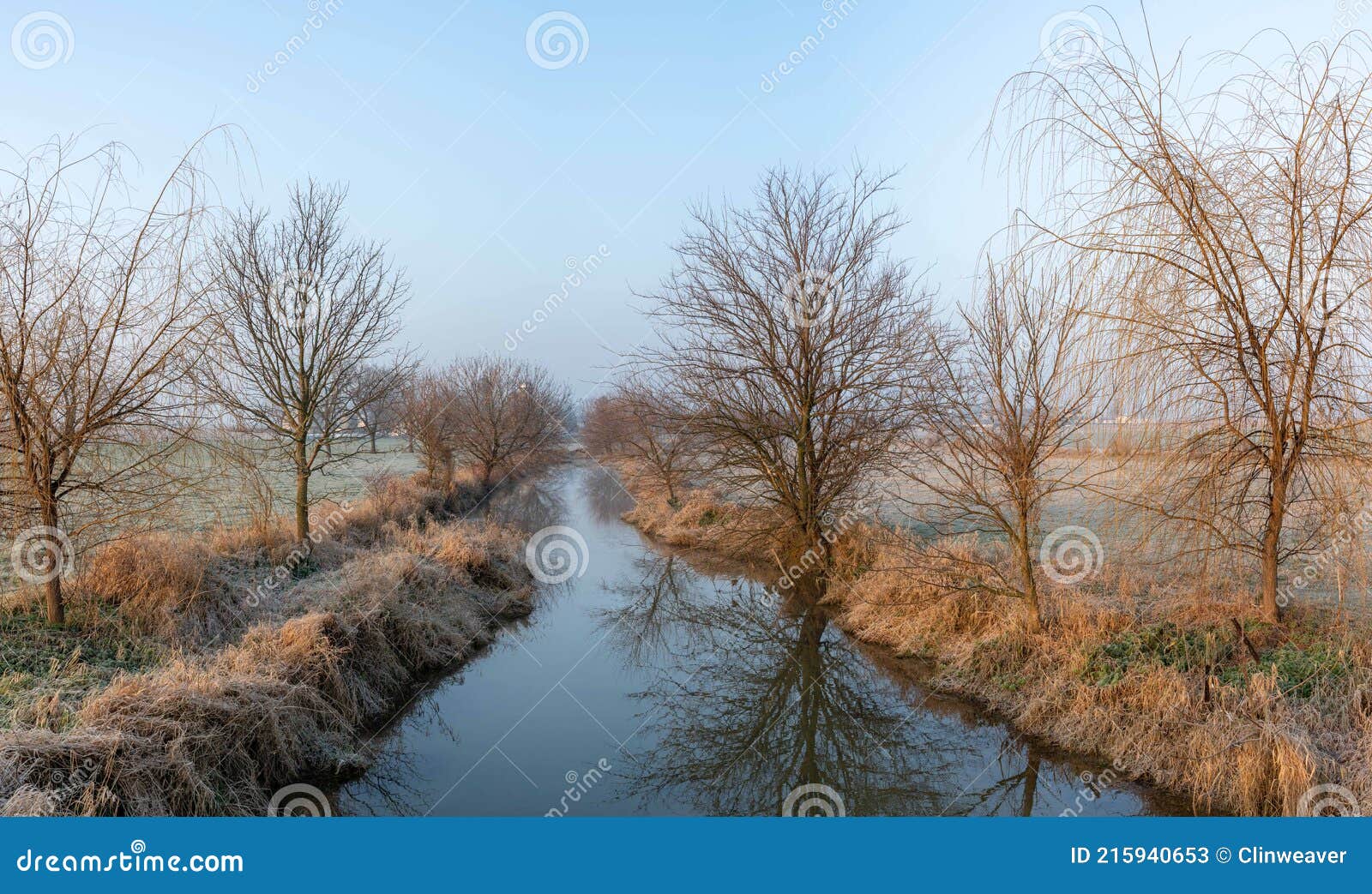 Stream in a Pasture stock image. Image of light, misty - 215940653