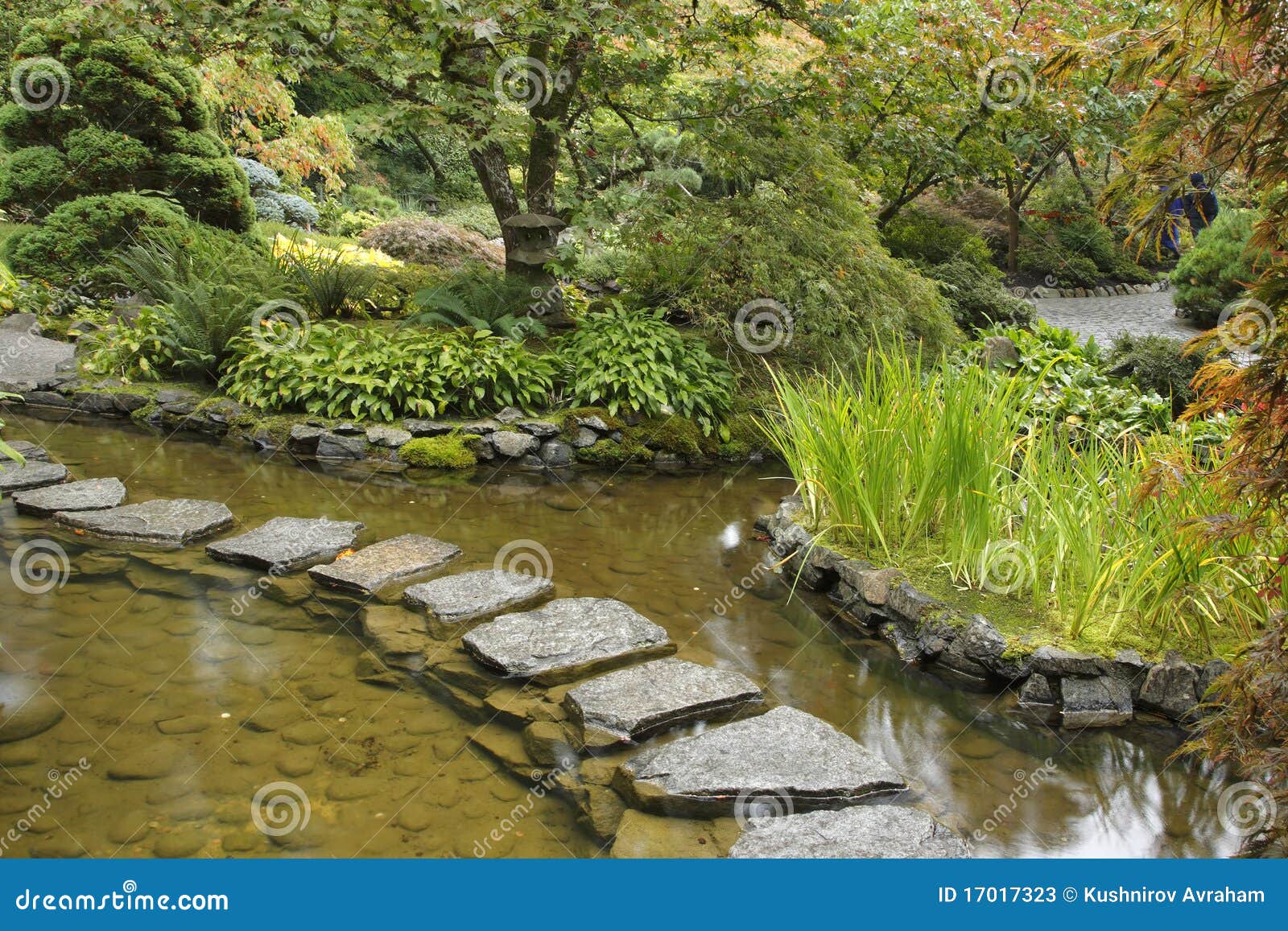 A Stream and Path from Stones Stock Image - Image of stream, pond: 17017323