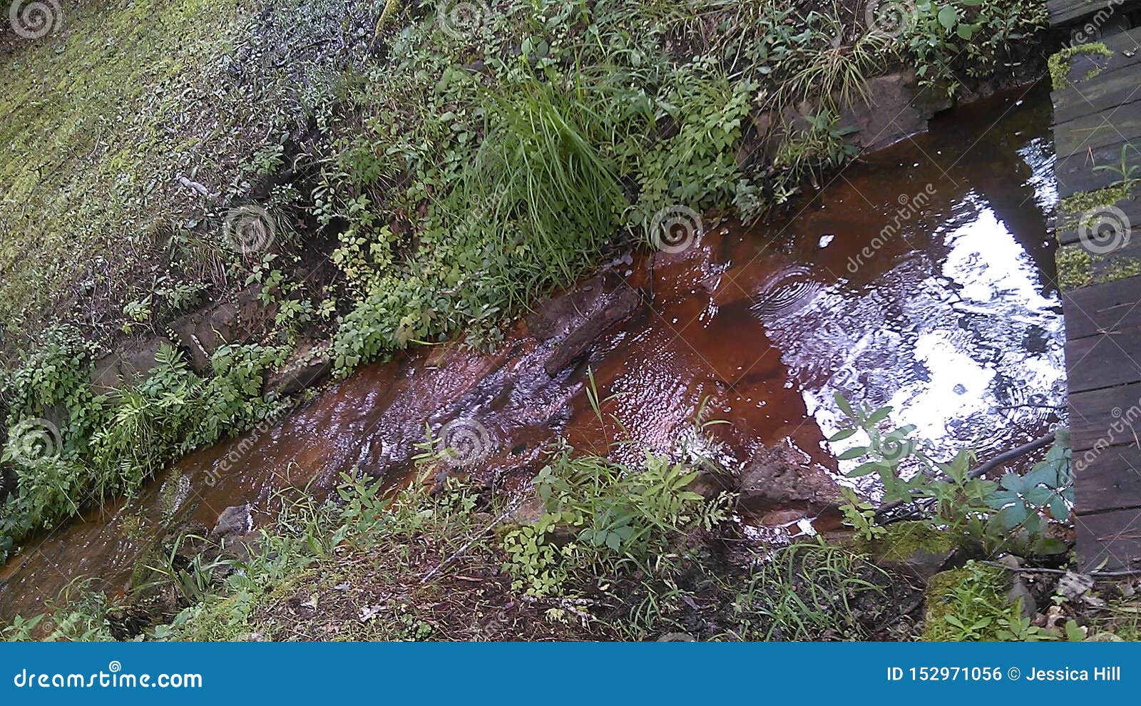 Stream on a path stock photo. Image of lovely, stream - 152971056
