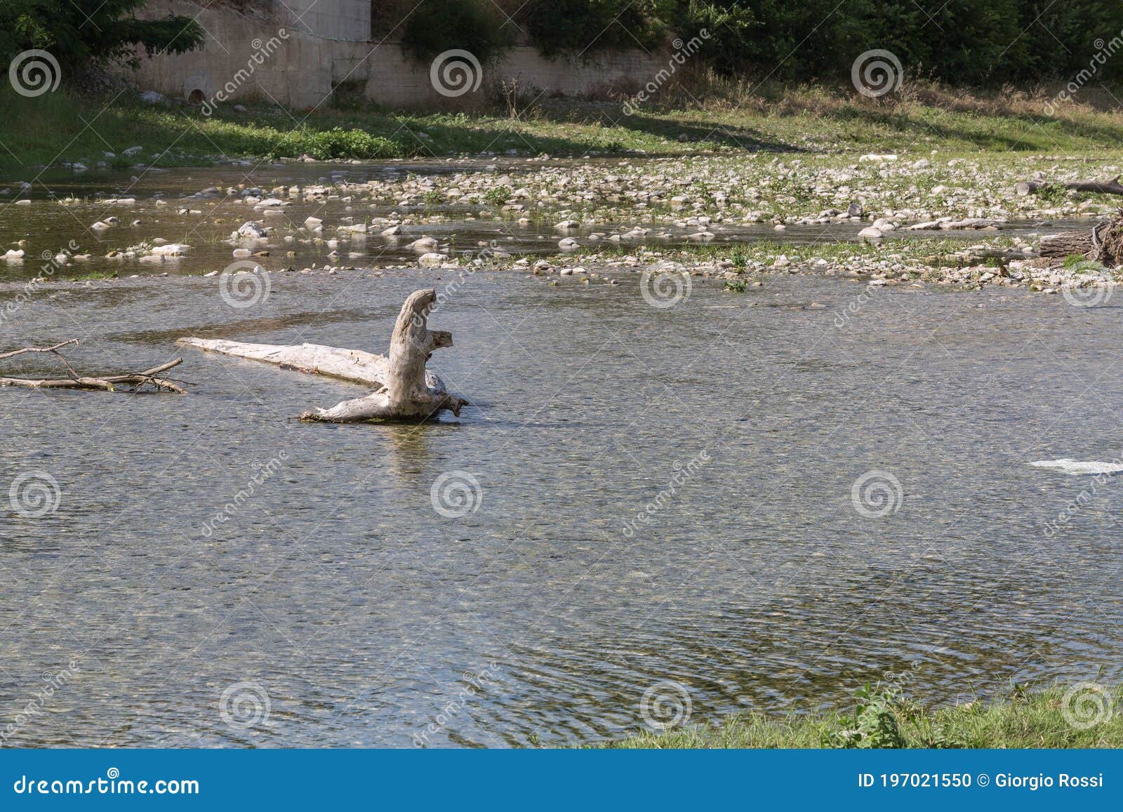 Stream with Pebbles and Few Water in the Spring Stock Photo - Image of ...