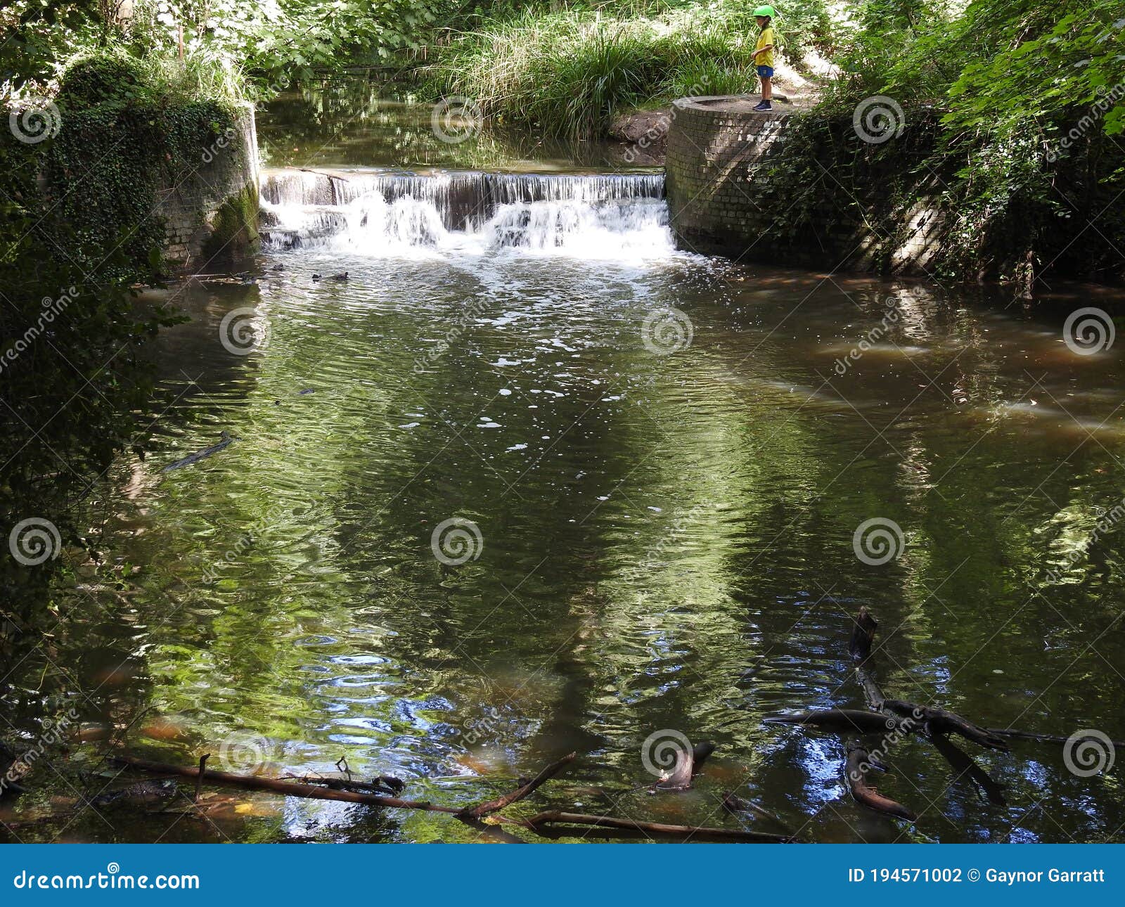 Stream Pebbles Sticks Waterfall Stock Photo - Image of running, flowing ...