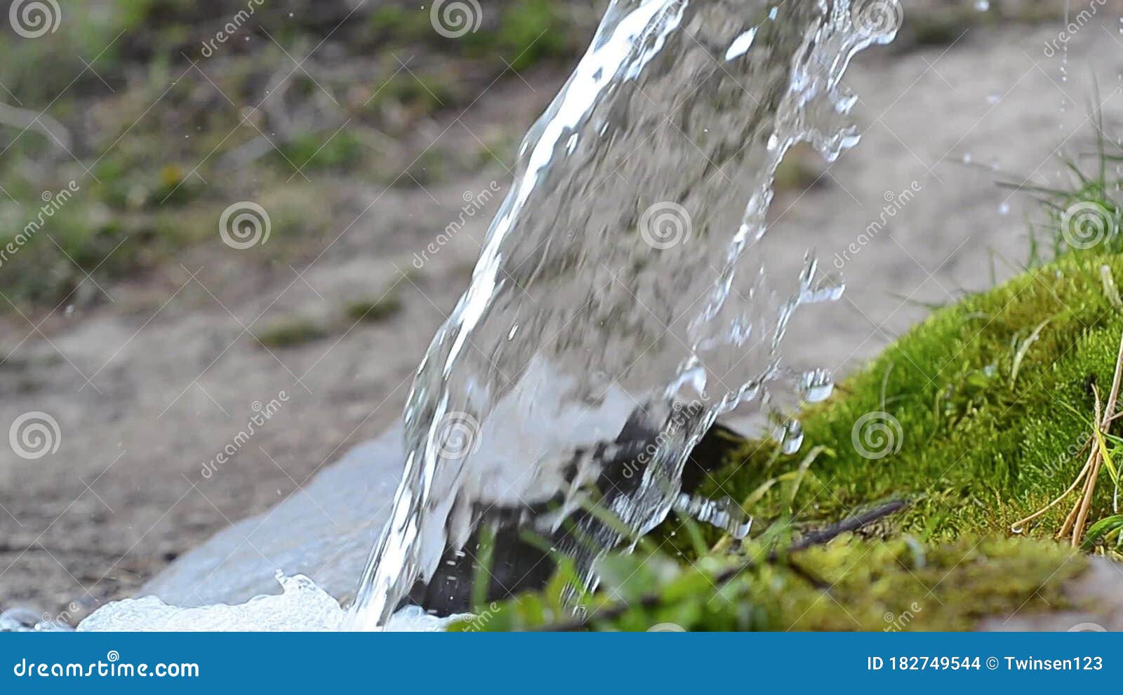 Stream of Pure Water Flowing on a Background of Green Moss Stock ...