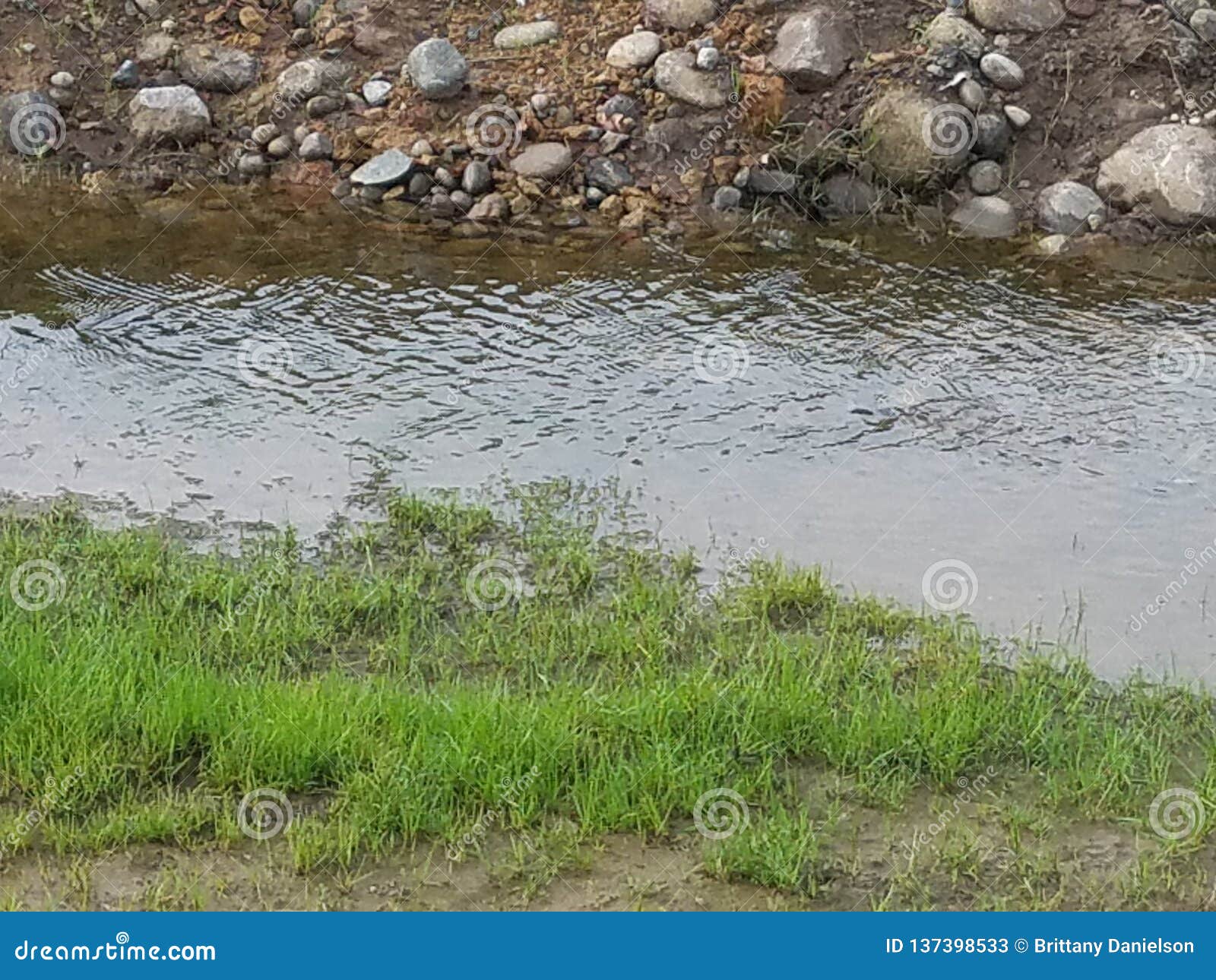 Little Stream stock image. Image of water, creak, stream - 137398533