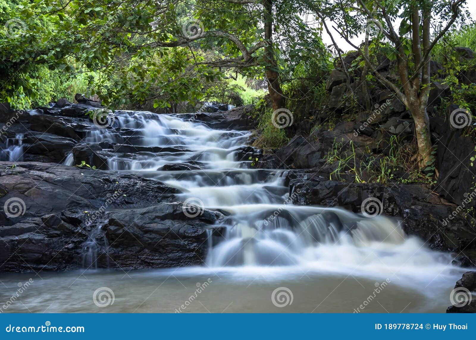 Stream in the Rainforest with Soft Flowing Water Stock Photo - Image of ...
