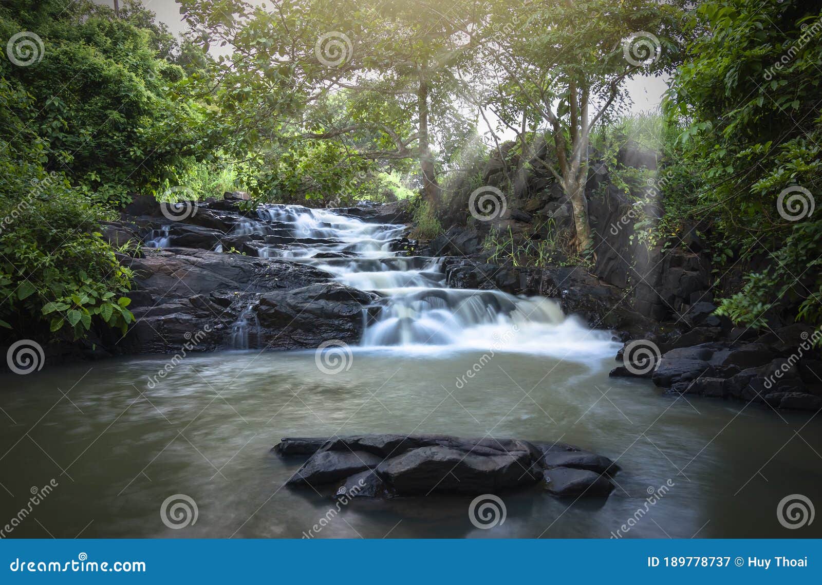 Stream in the Rainforest with Soft Flowing Water Stock Image - Image of ...