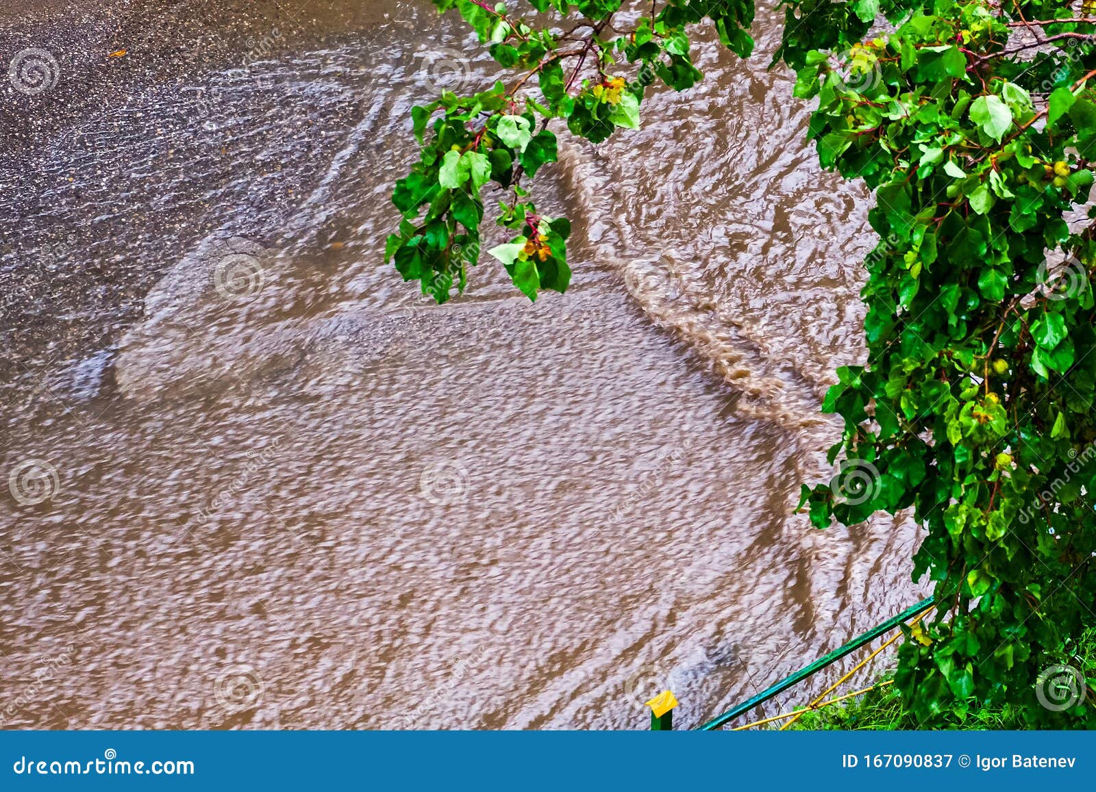 A stream of rainwater. stock image. Image of cascade - 167090837