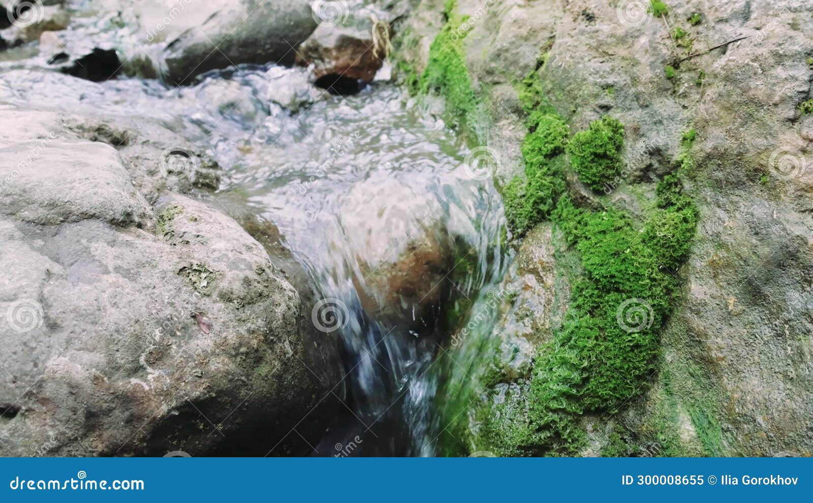 Stream Rapidly Over Stones, Clear Mountain Stream Reflects Climate ...