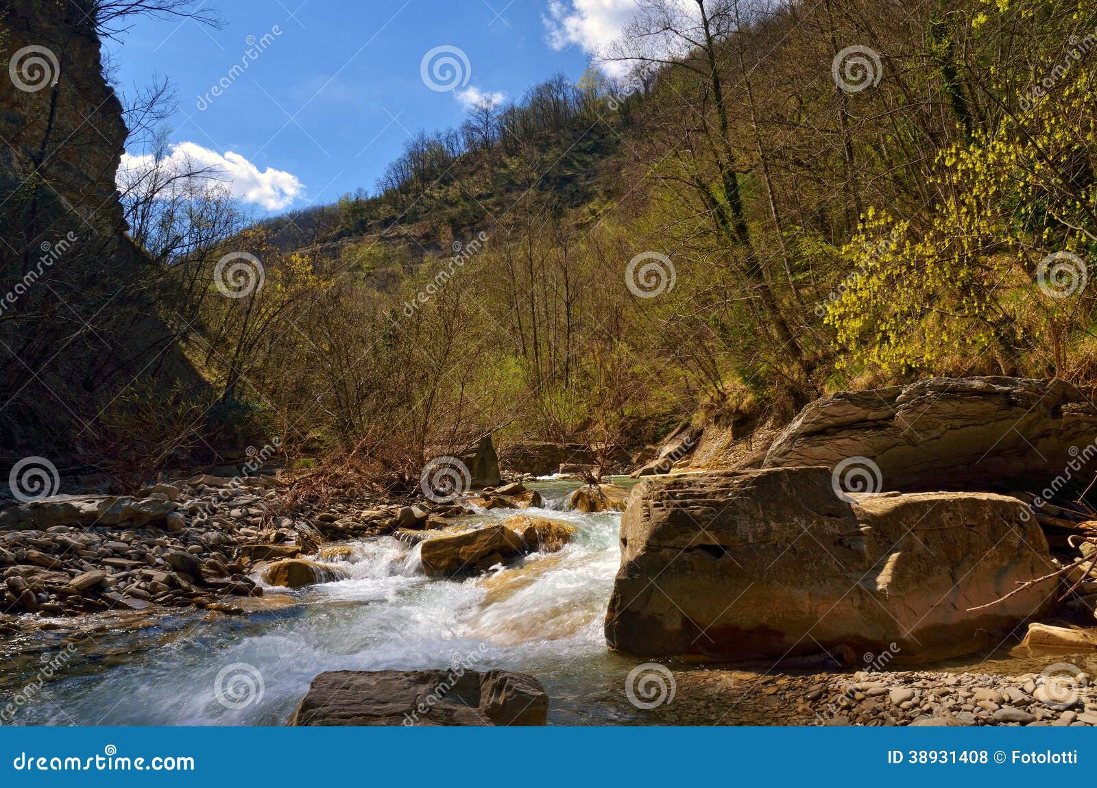 Stream with rapids stock photo. Image of winter, landscape - 38931408