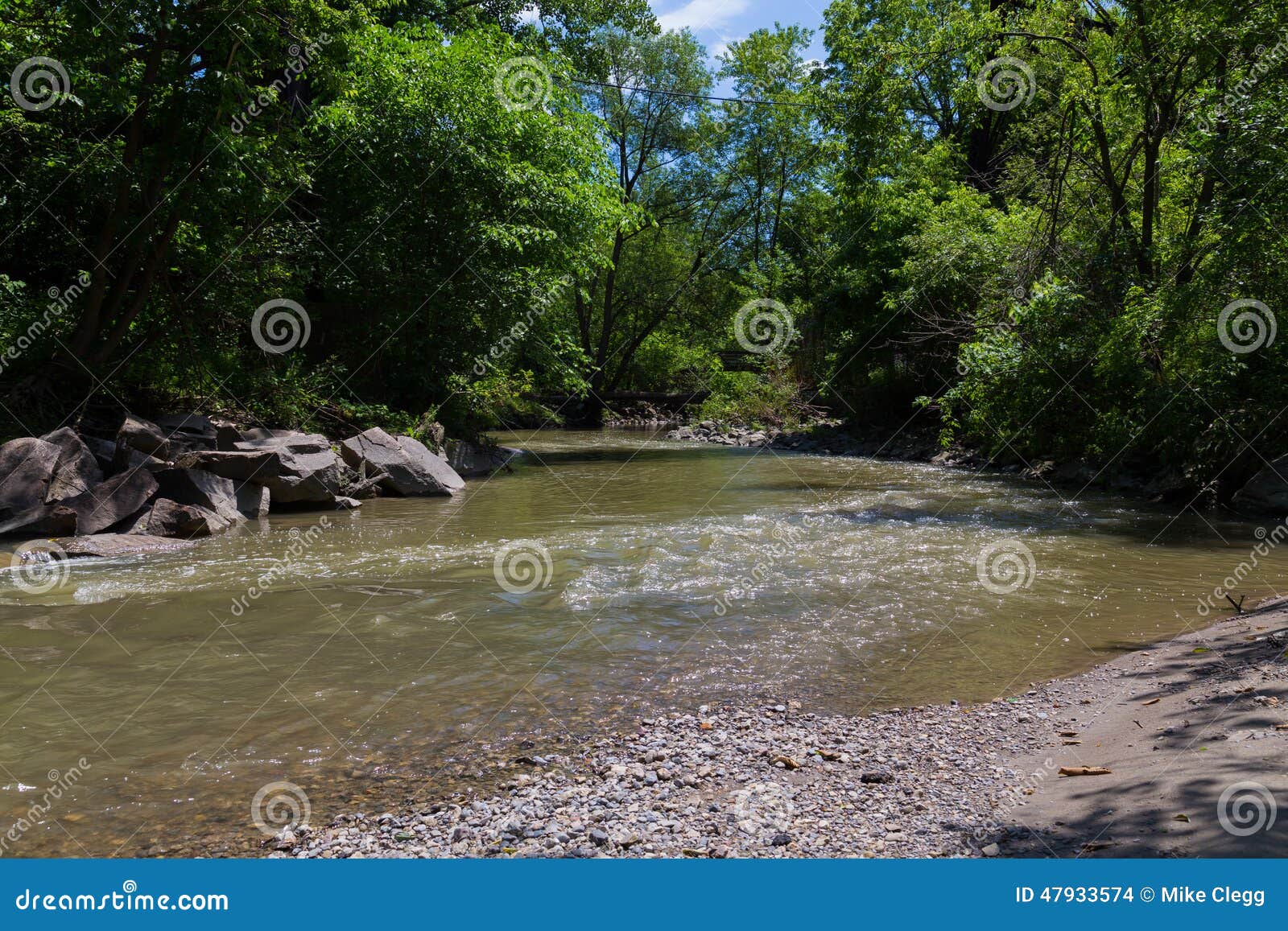 Stream in a Ravine stock photo. Image of water, outside - 47933574