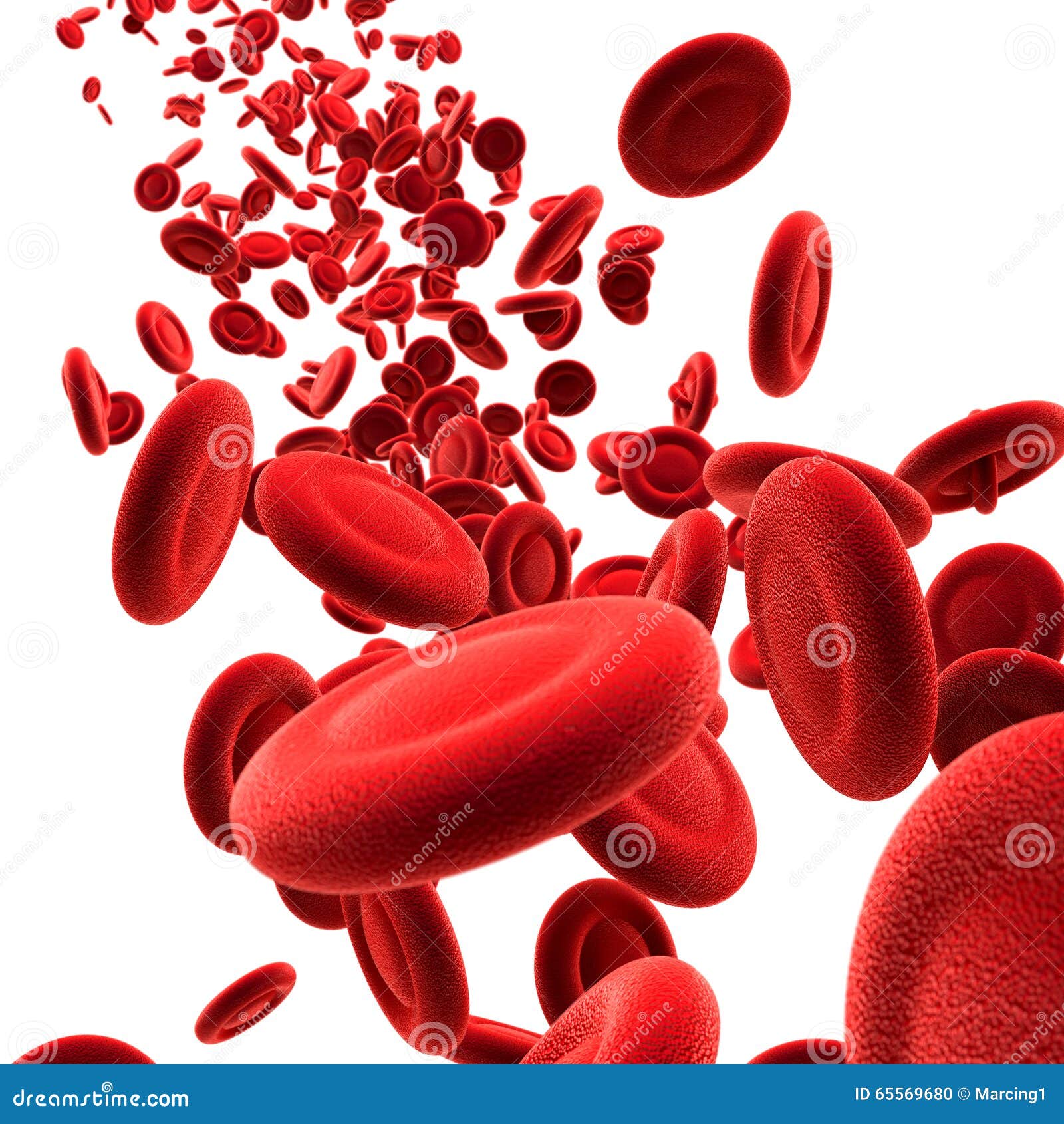 Stream Of Blood Cells Stock Image | CartoonDealer.com #37004917