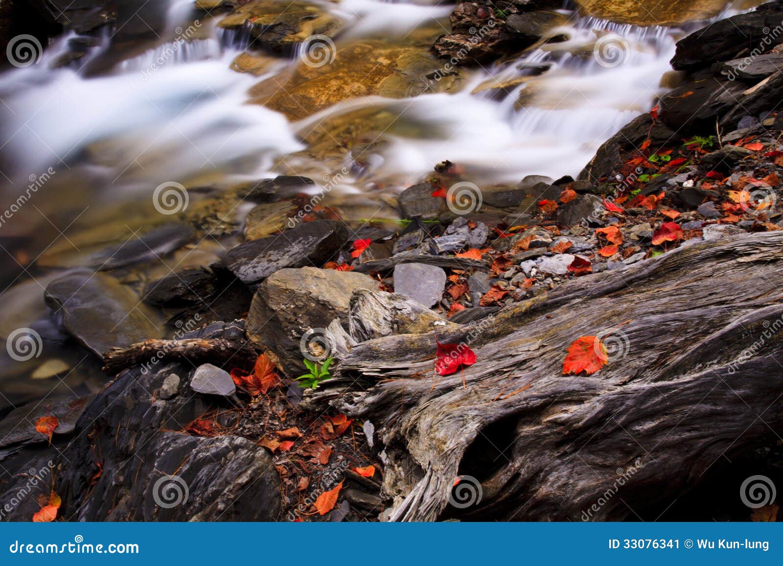 Stream of red maple leaves stock image. Image of idyllic - 33076341