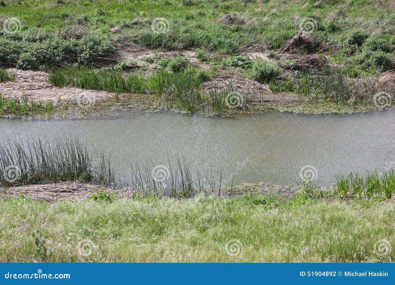 A Stream with Ripples from the Wind Stock Photo - Image of small ...