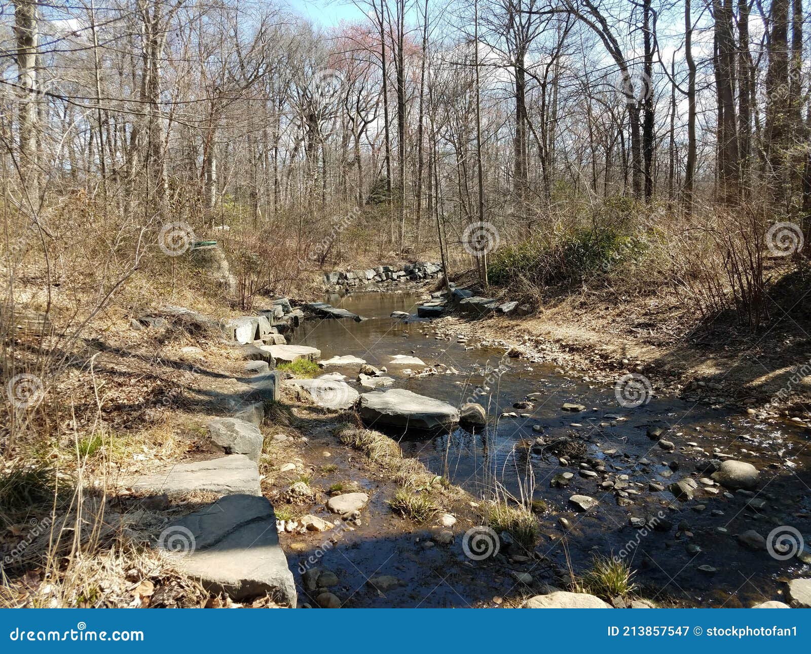 Stream or River in Forest or Woods with Rocks Stock Image - Image of ...
