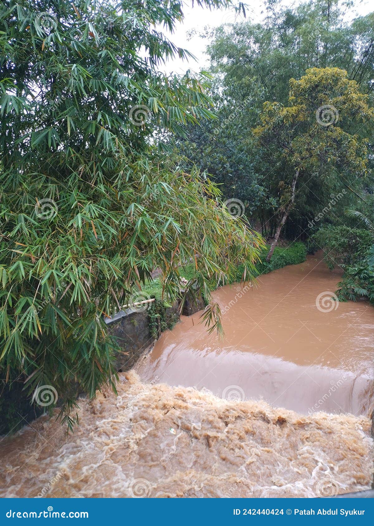 Stream River after Rain stock photo. Image of stream - 242440424