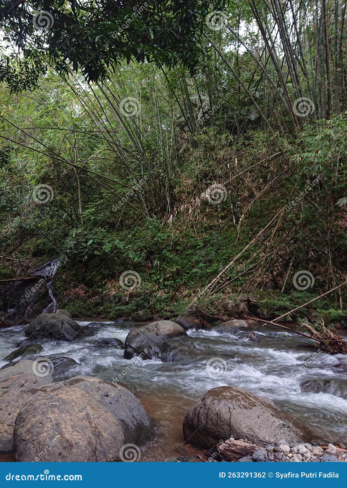 Stream of River after Rain Subsides Stock Photo - Image of nature ...