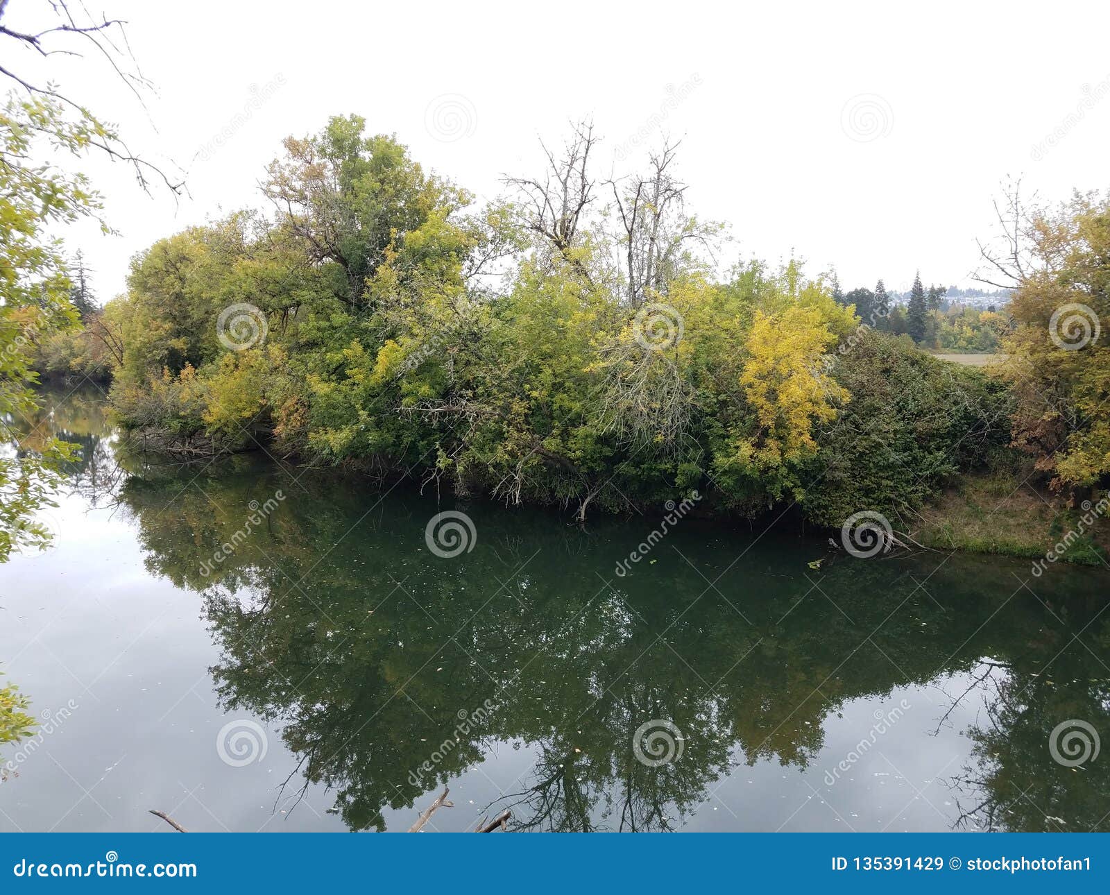 Stream or River with Reflection and Green Trees Stock Image - Image of ...