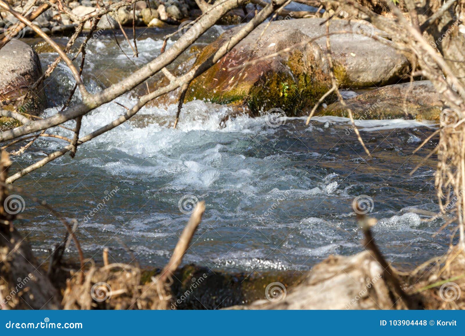 Flow in the river stock photo. Image of landscape, fluid - 103904448