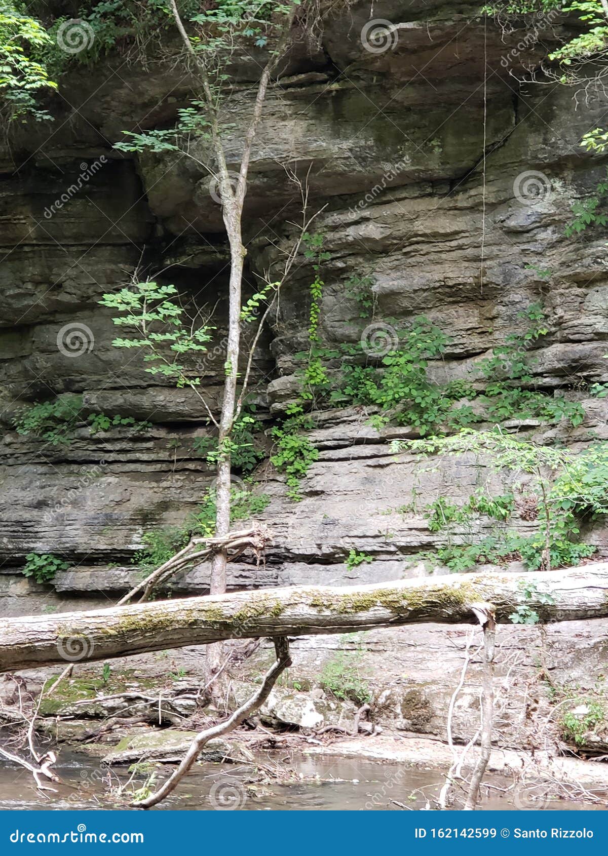 Stream Rock Stone Wall Cliff Stock Image - Image of cliff, stone: 162142599