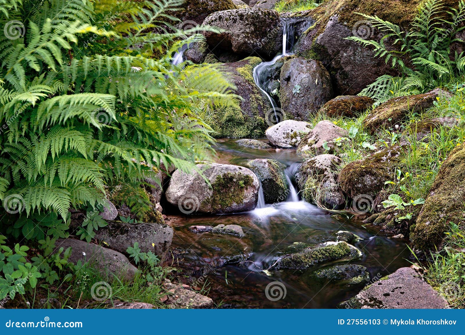 Stream with rocks stock image. Image of river, grass - 27556103