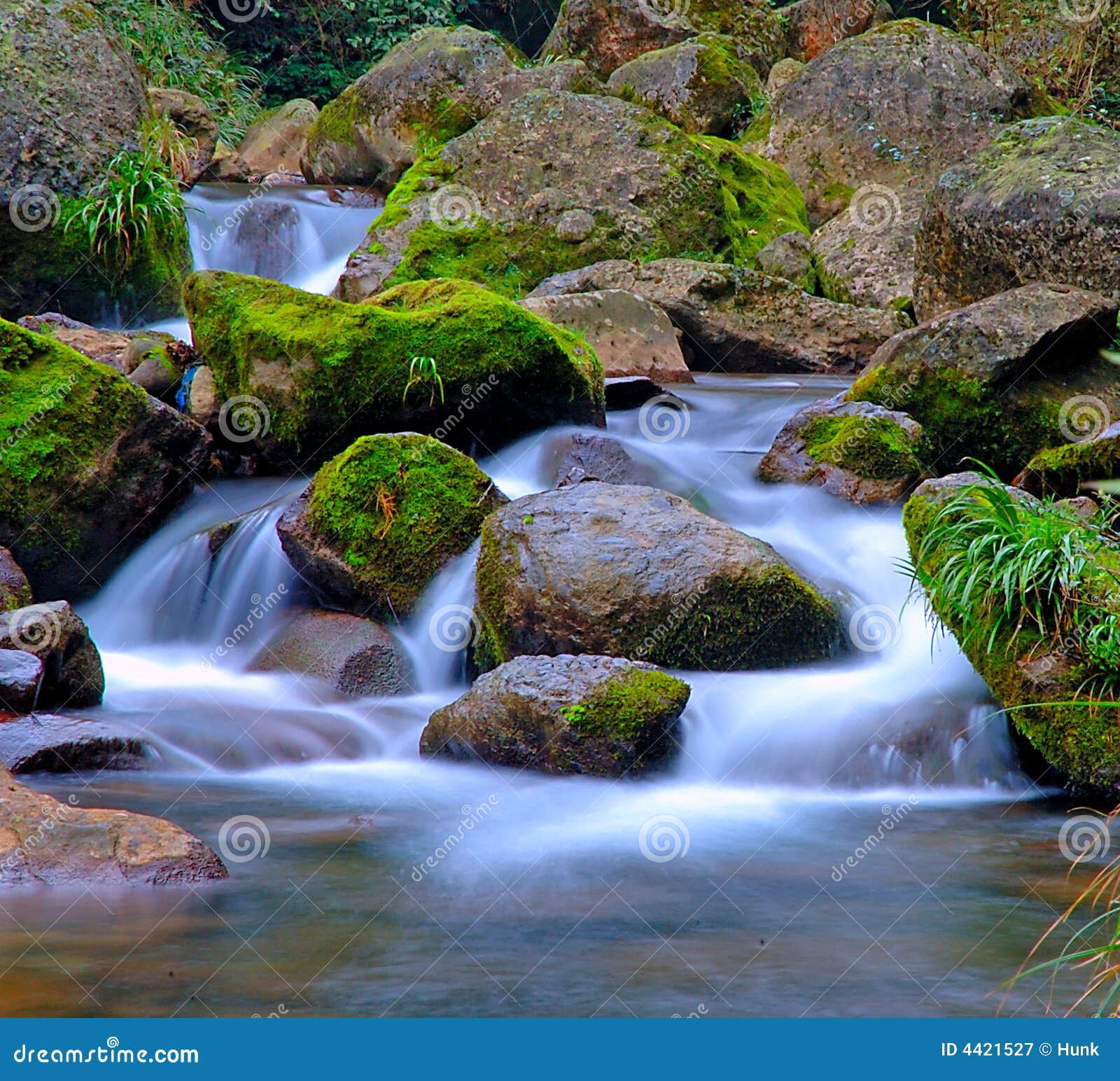 Stream and rocks stock image. Image of limpid, stones - 4421527