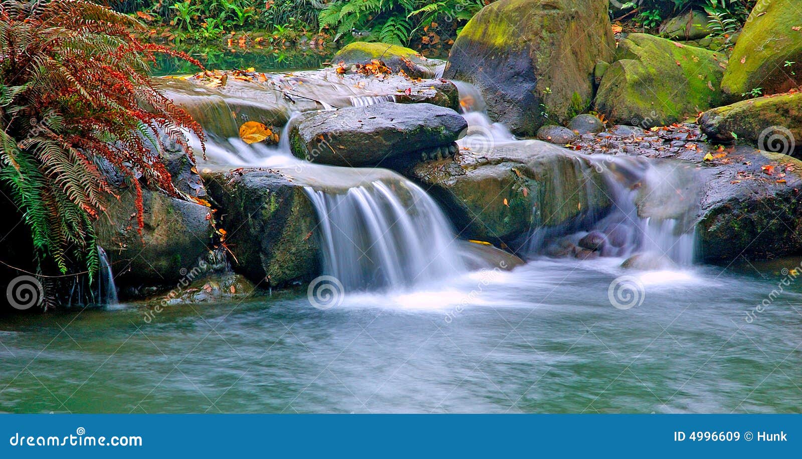 Stream and rocks stock image. Image of stream, running - 4996609