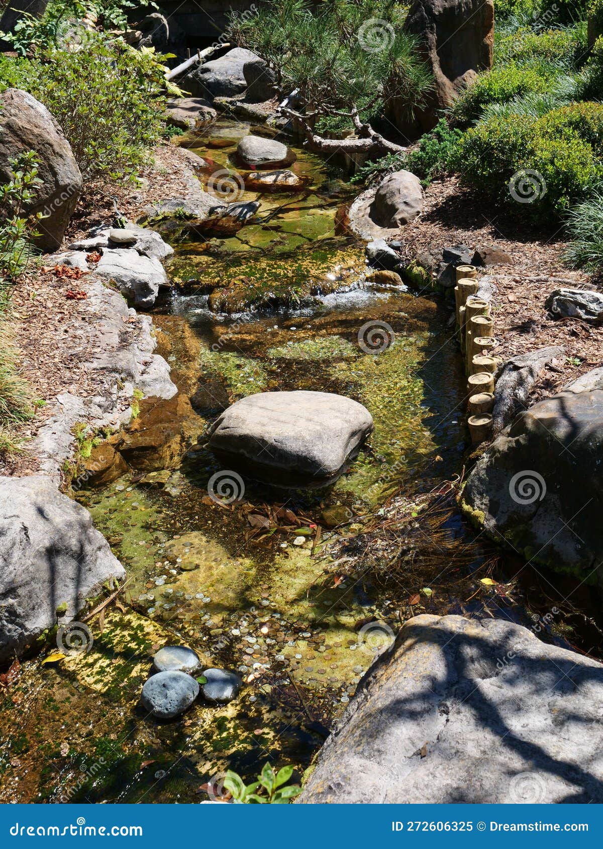 A Stream with Rocks and with Intermittent Shading Stock Image - Image ...