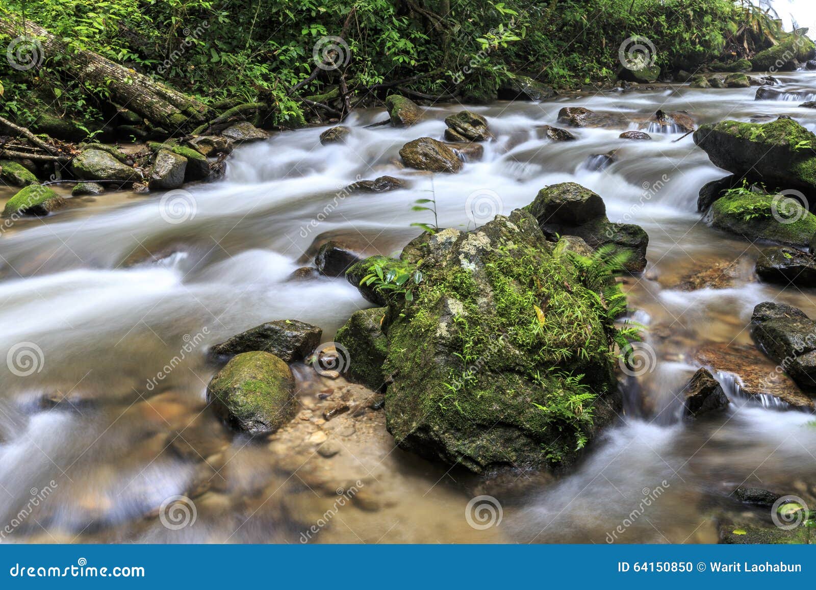 Stream stock photo. Image of serene, view, calm, stone - 64150850