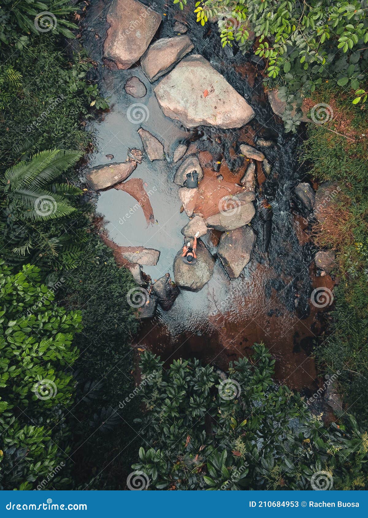 A Stream with Rocks in a Tropical Forest Stock Image - Image of lake ...