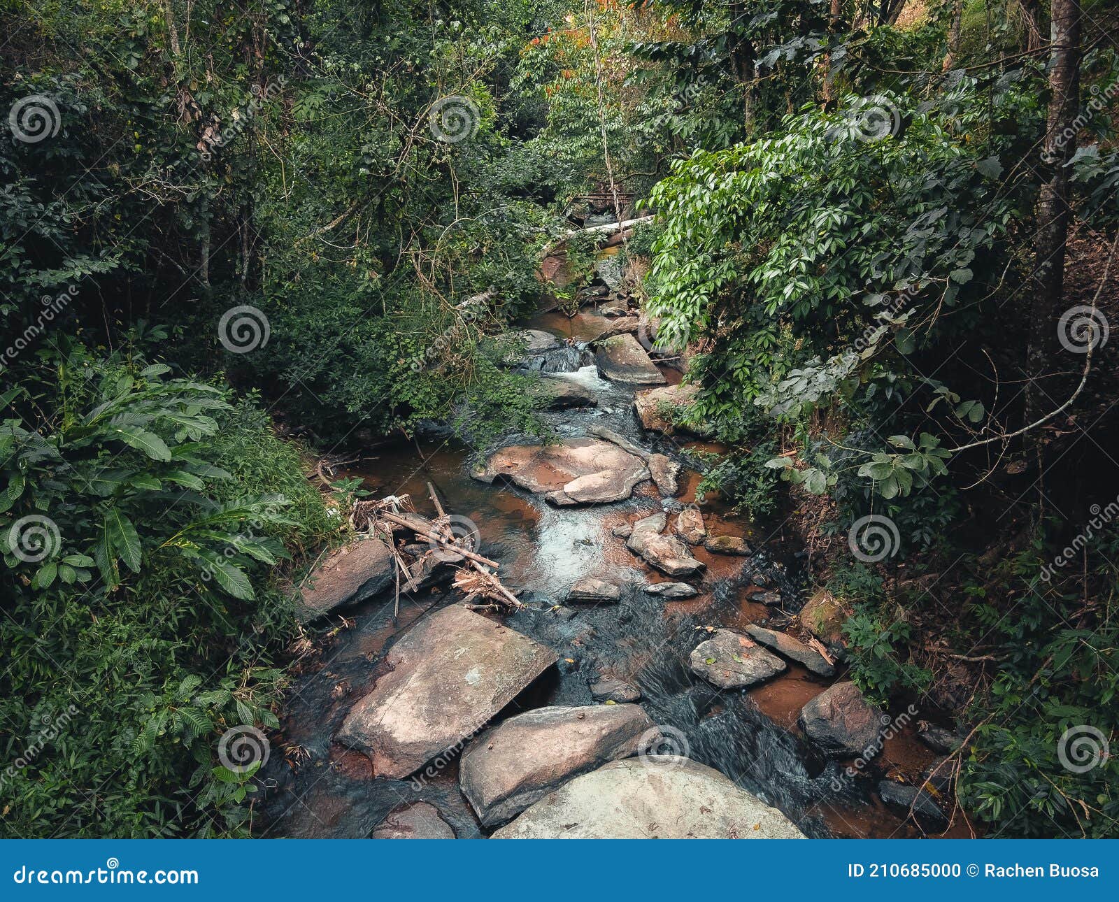 A Stream with Rocks in a Tropical Forest Stock Photo - Image of rock ...