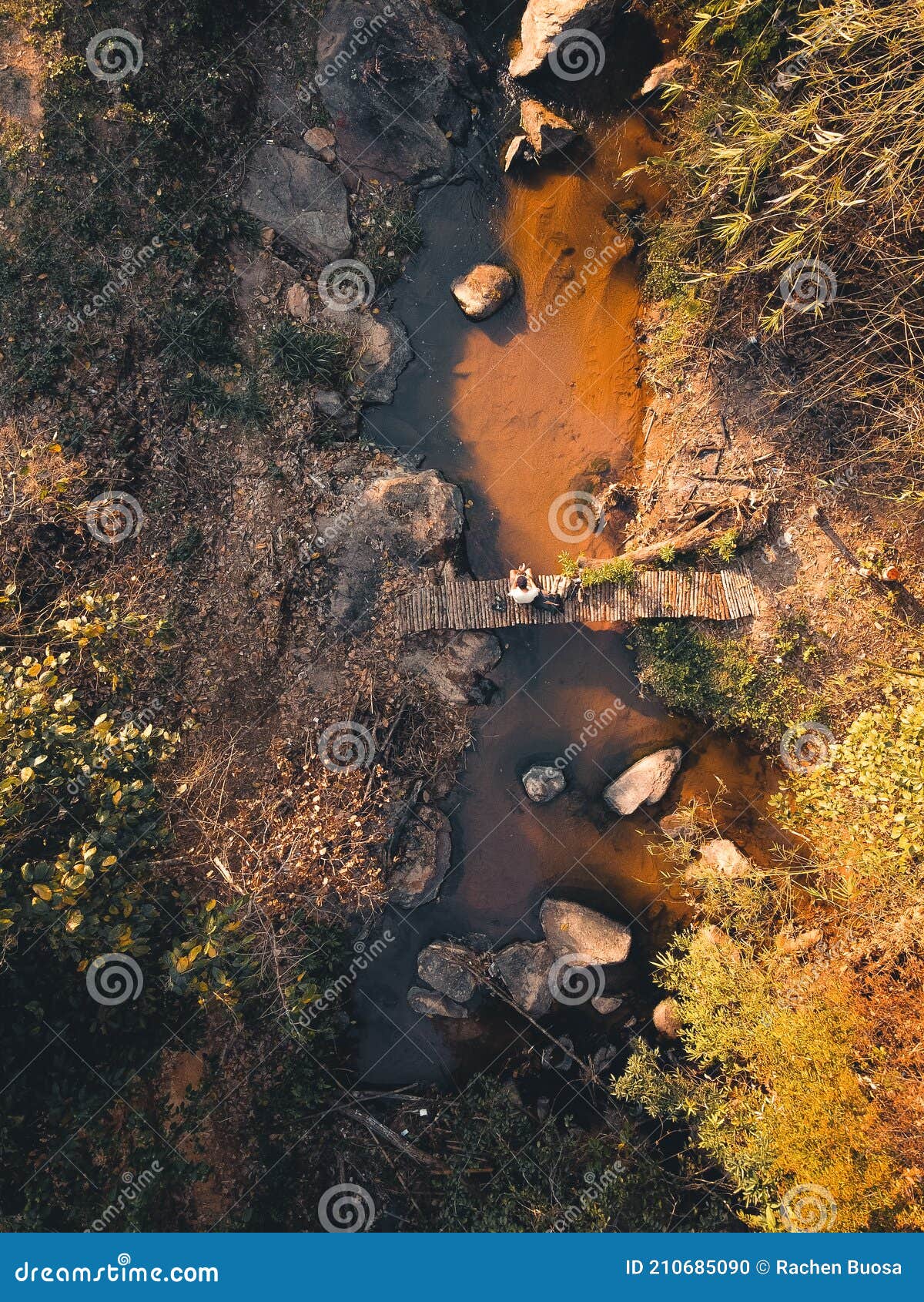 A Stream with Rocks in a Tropical Forest Stock Photo - Image of trip ...