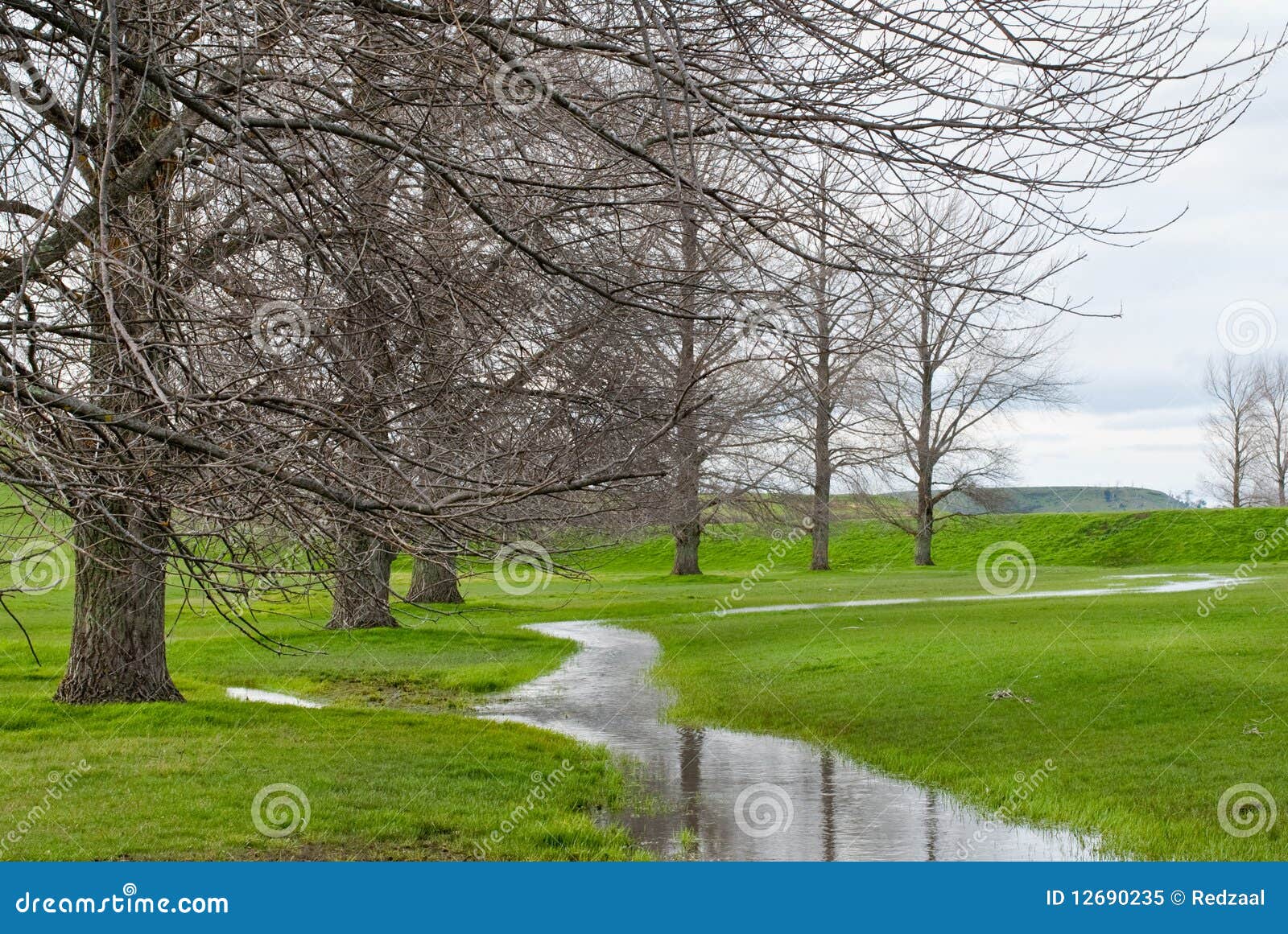 Stream Running by Deciduous Trees through Pasture Stock Image - Image ...