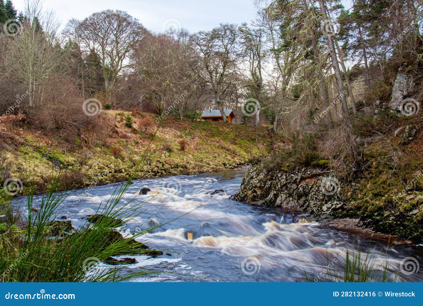 A Stream Running Down a Green Hillside with Lots of Trees Stock Photo ...