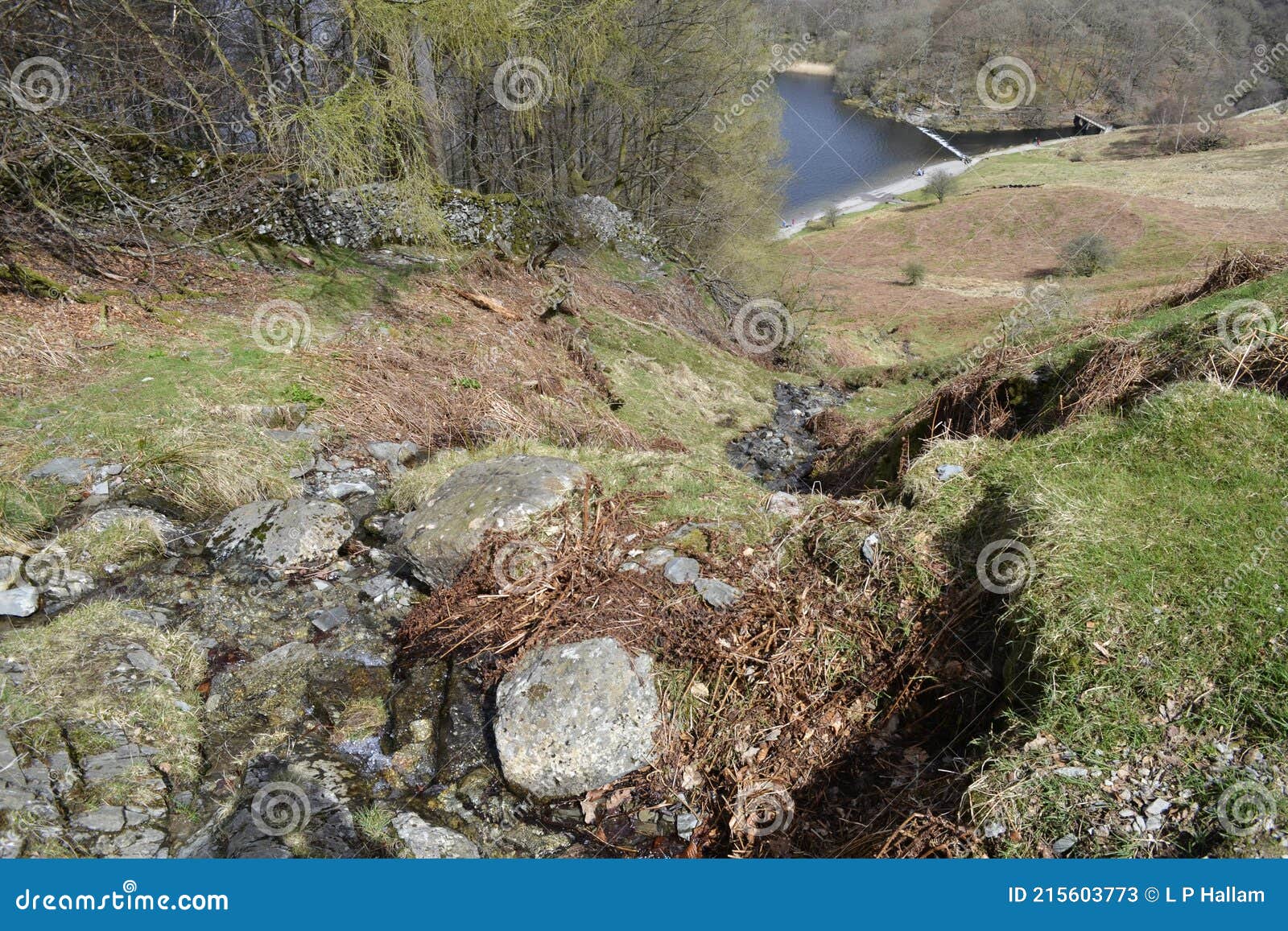 Stream Running Downhill in Lake District Stock Image - Image of river ...