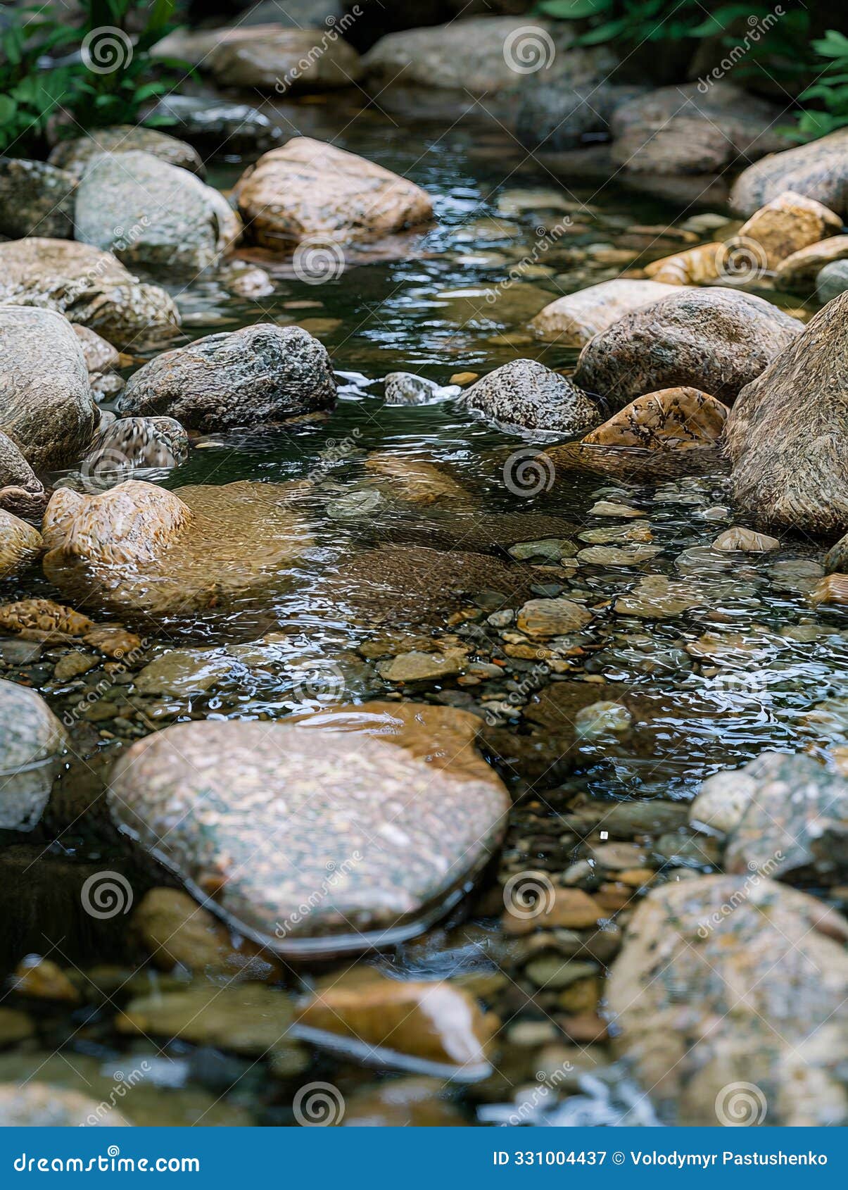 A Stream Running through a Forest Filled with Rocks and Water Stock ...