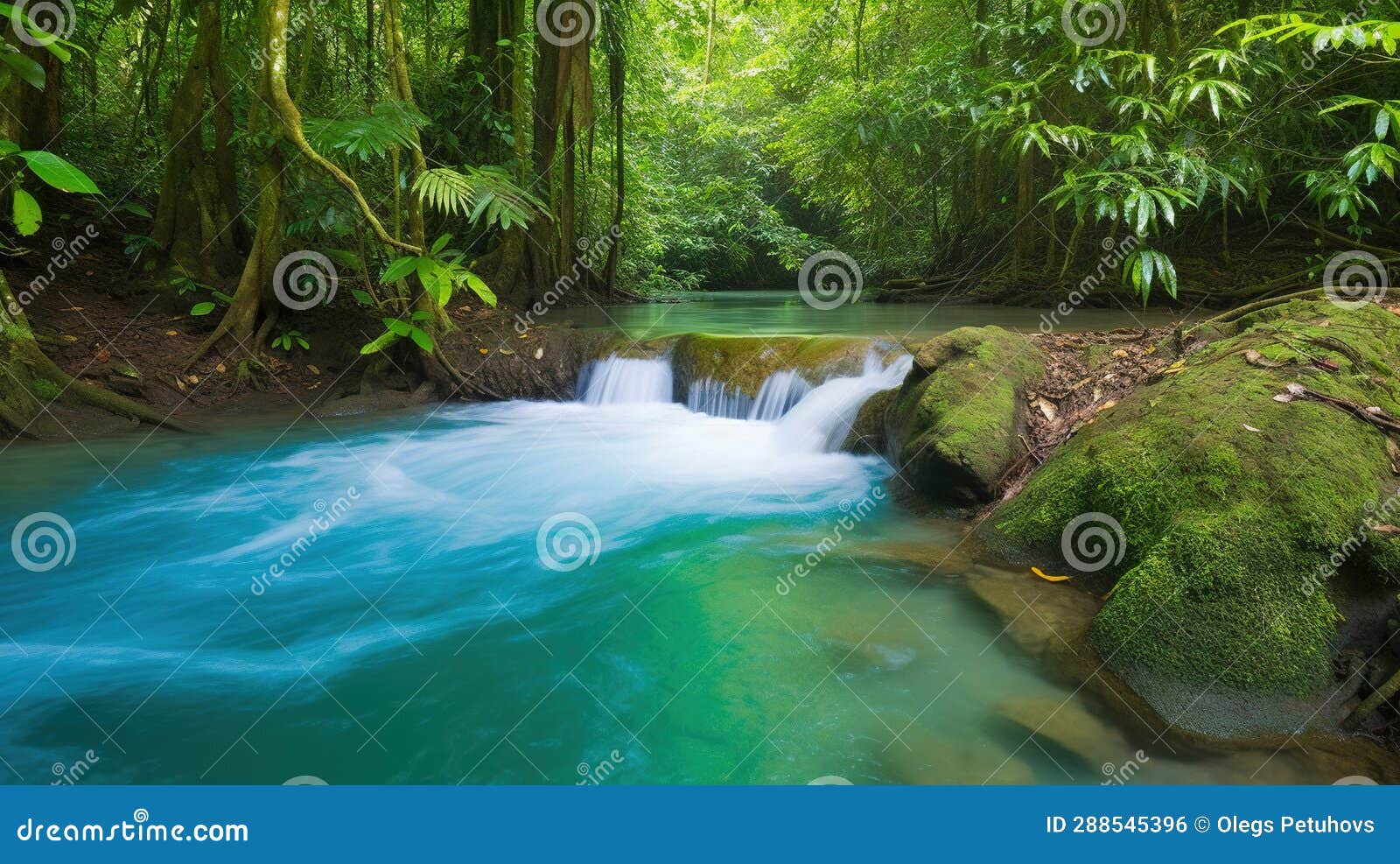 A Stream Running through a Lush Green Forest Filled with Trees Stock ...