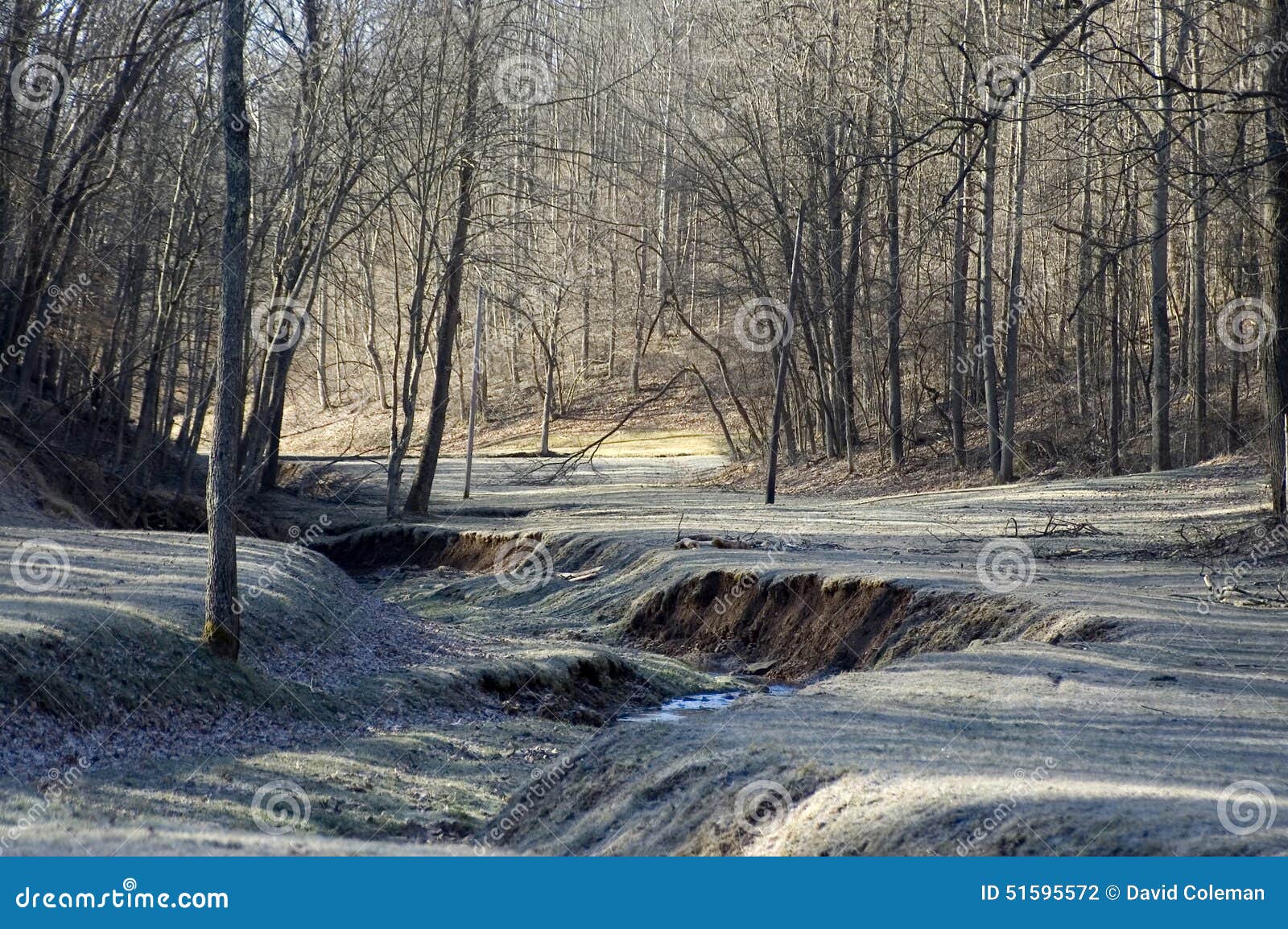 Stream Running through Meadow Stock Photo - Image of appalachia, grass ...