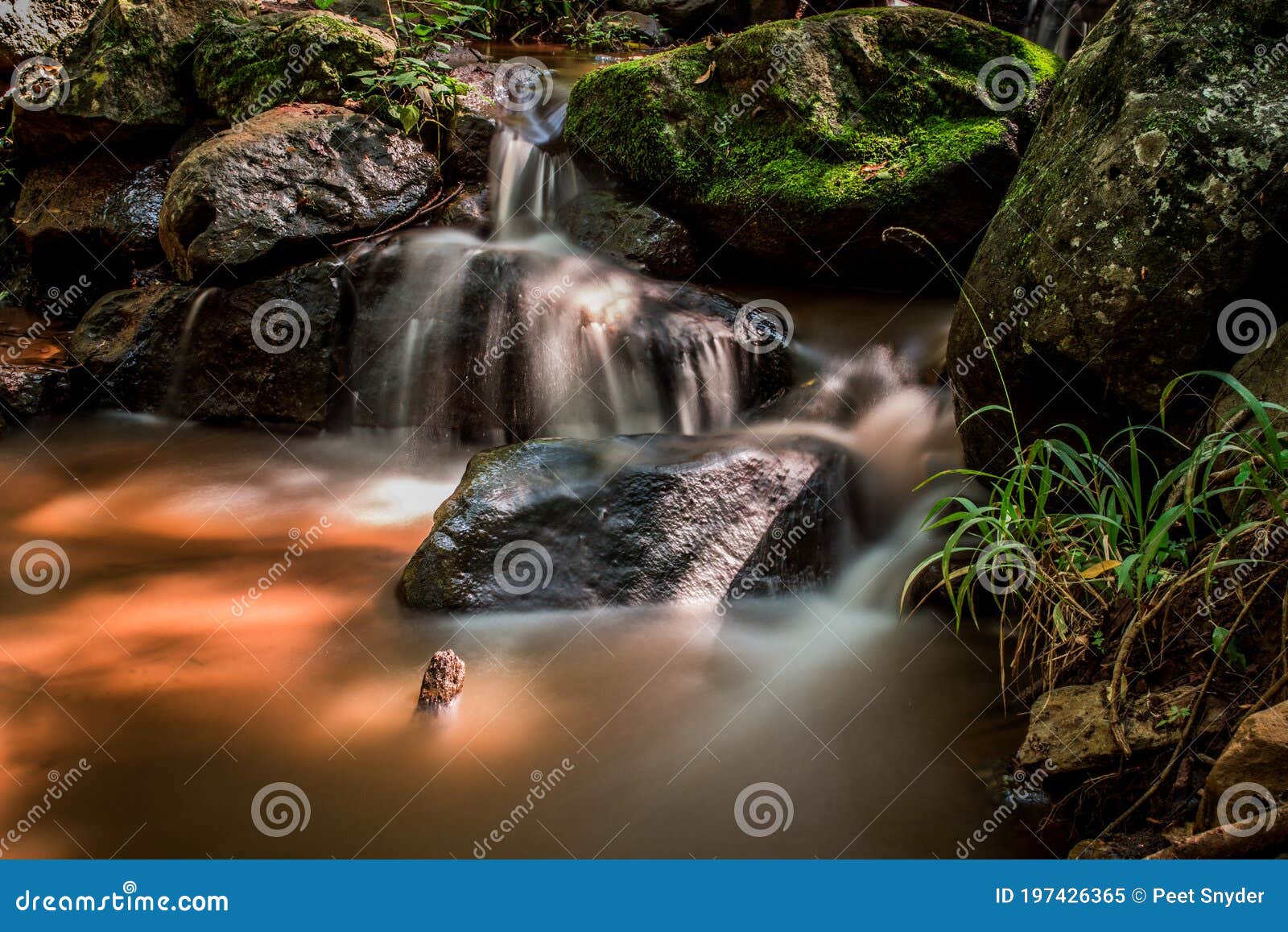 Stream Running Over Rocks in a Forrest Stock Image - Image of ...
