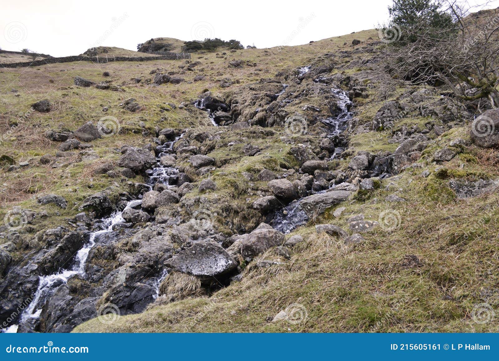 Stream Running Over Rocks in Lake District Stock Image - Image of lake ...