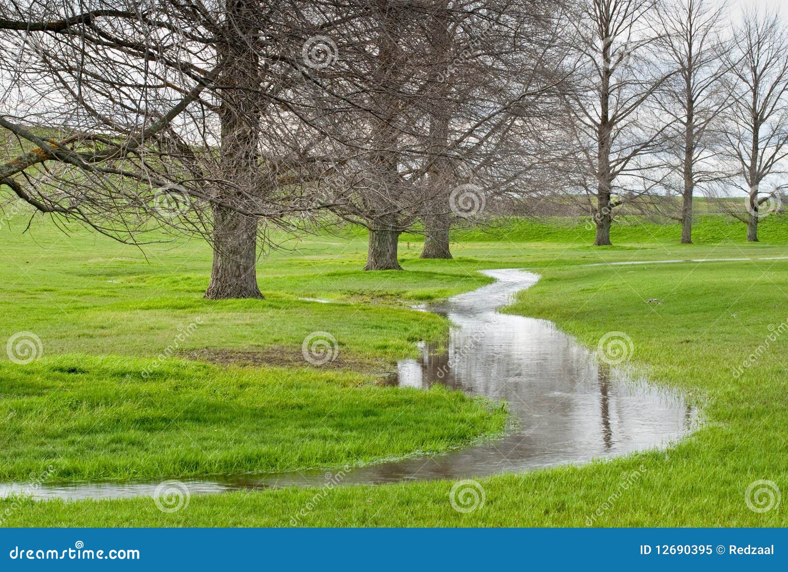 Stream Running through Pasture Stock Image - Image of deciduous, land ...