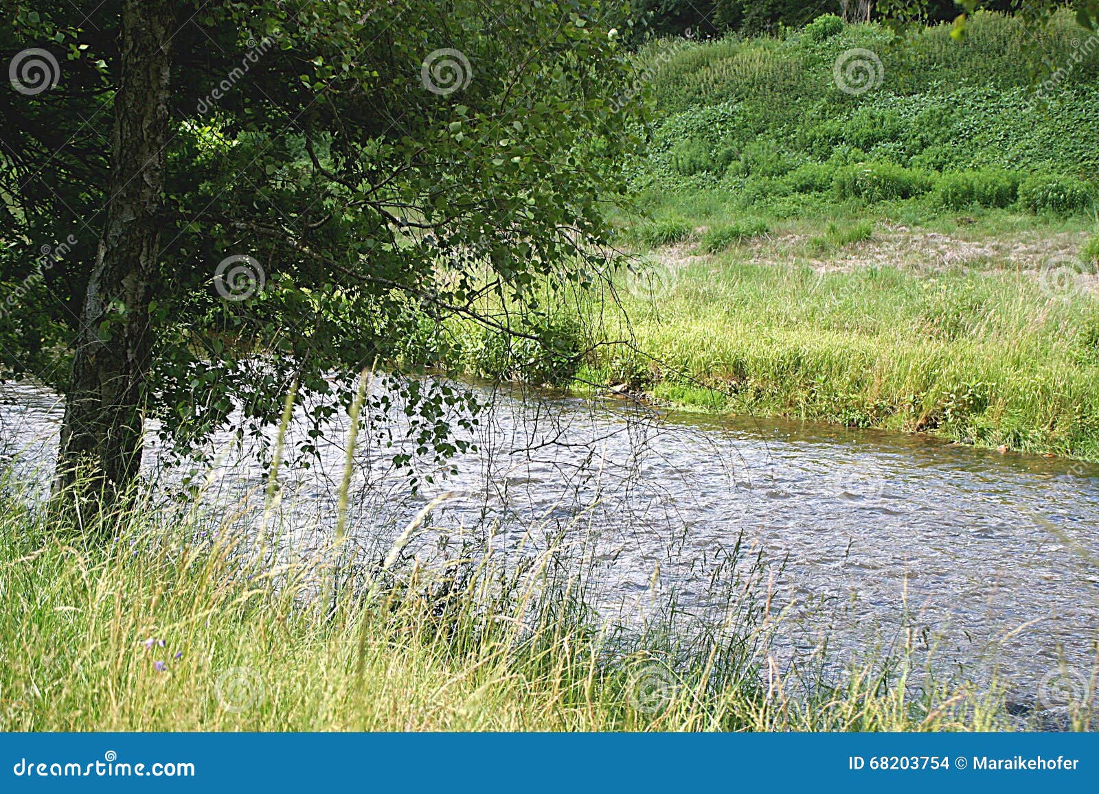 Stream of a running river stock photo. Image of idyllic - 68203754