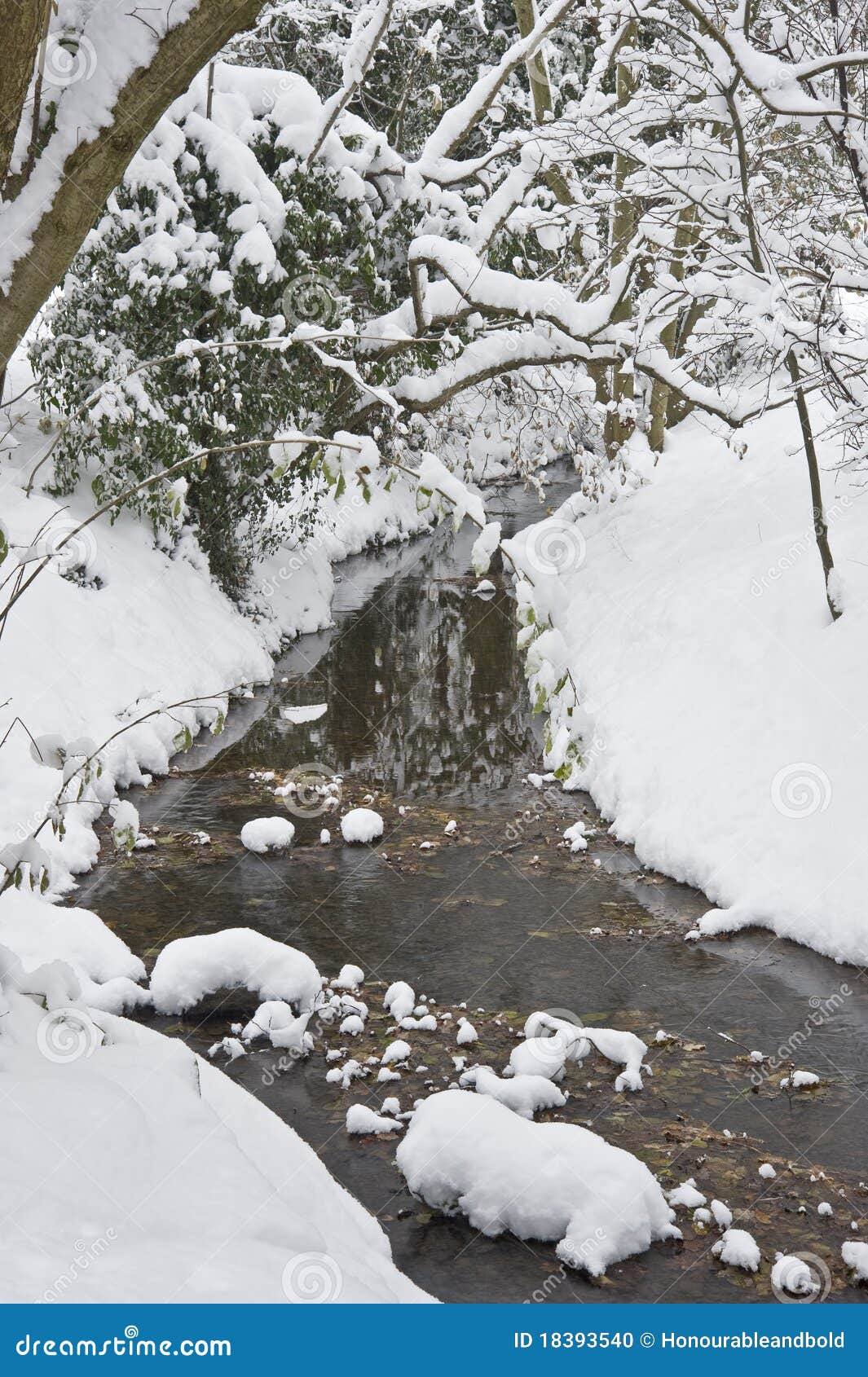 Stream Running through Winter Forest Stock Photo - Image of water ...