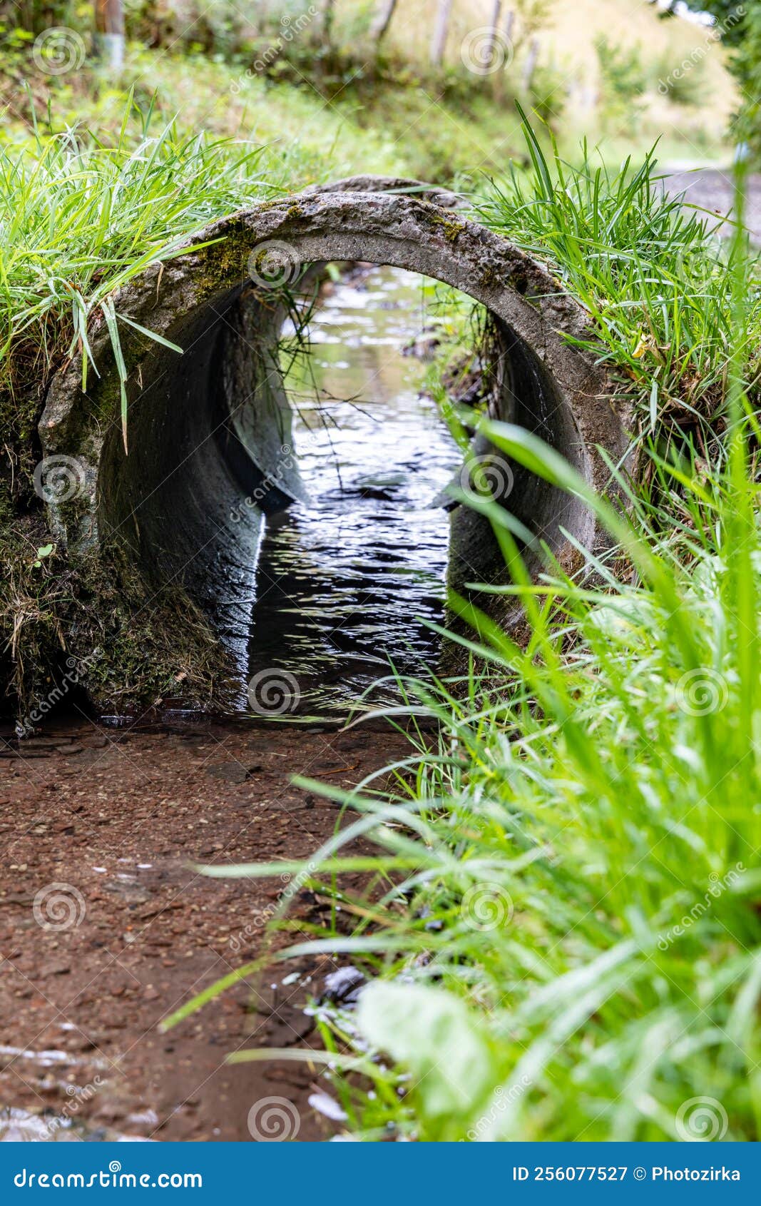 The Stream Runs through the Pipe Stock Image - Image of creek, drainage ...