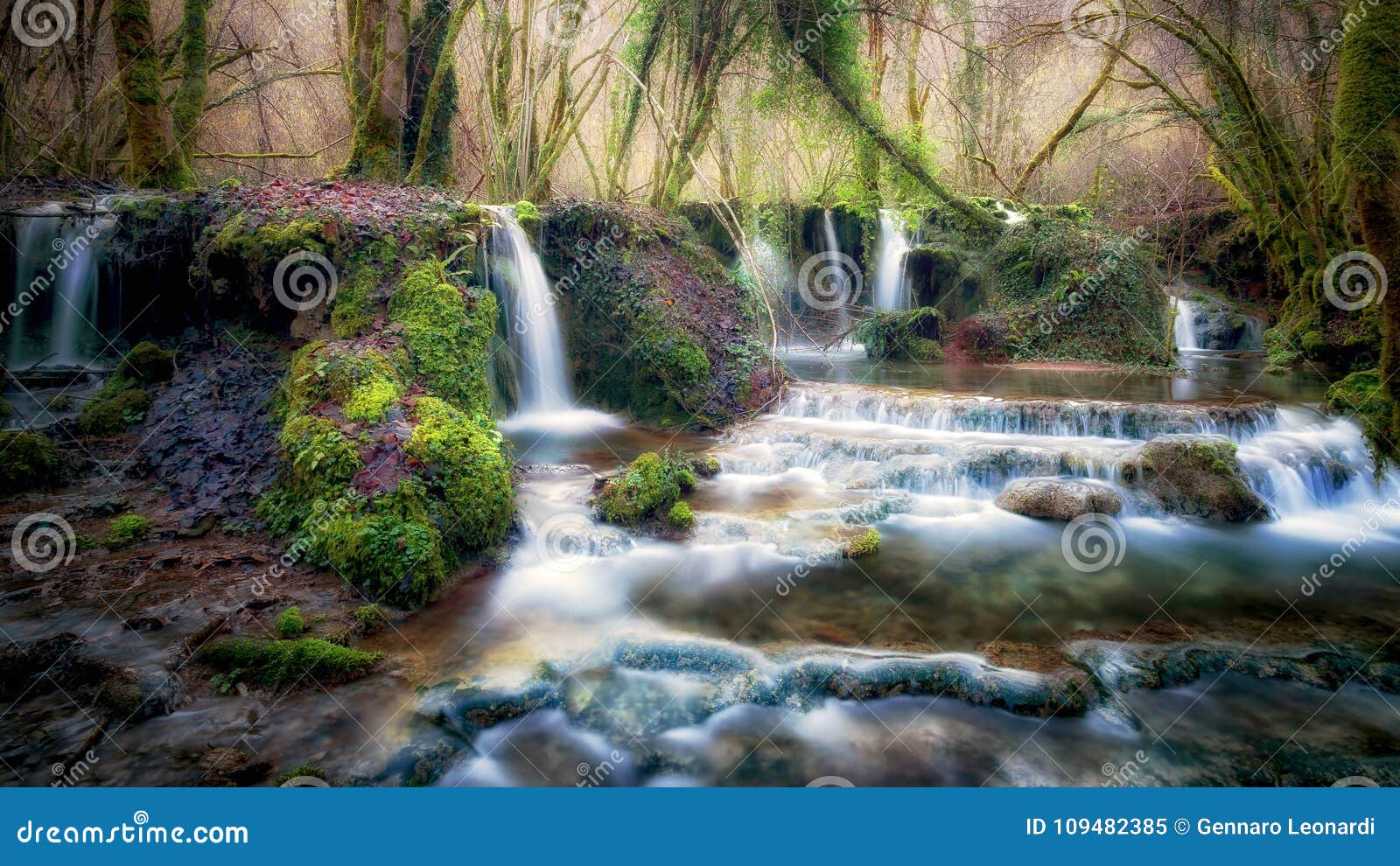 A Stream Runs through the Forest Creating Many Small Waterfalls Stock ...