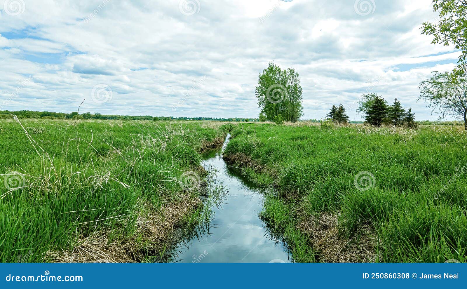 Stream Runs through a Green Grassy Landscape Stock Photo - Image of ...
